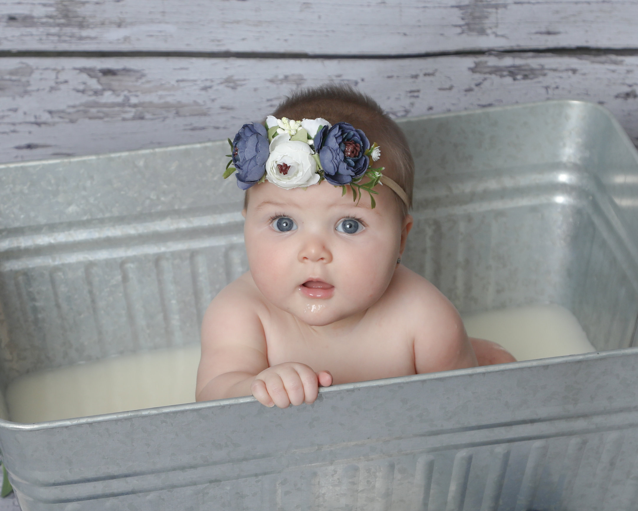 Home - MERI CRISP PHOTOGRAPHY