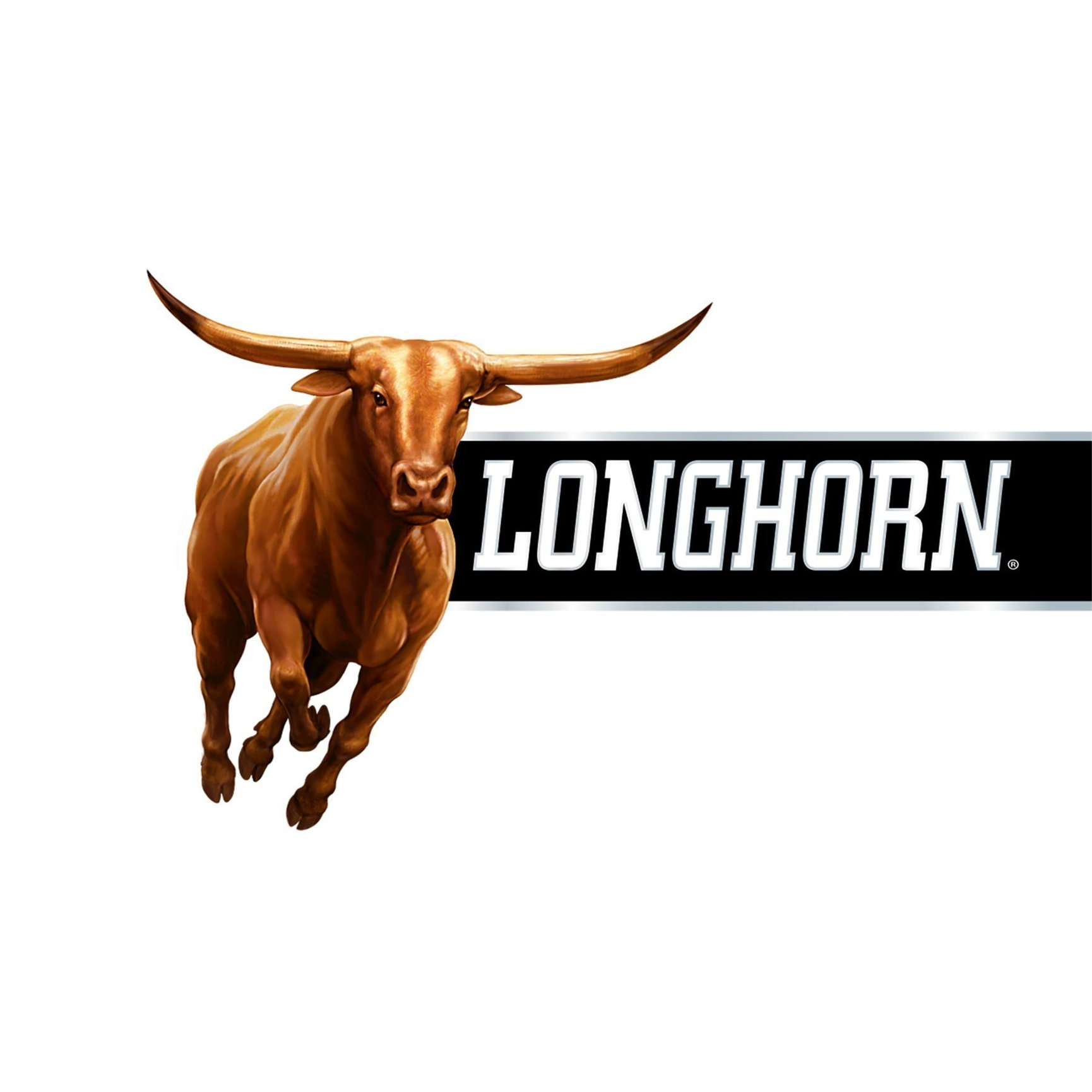 LONGHORN WINTERGREEN POUCH DISPLAY $1.59 - Rebel Tobacco Co.