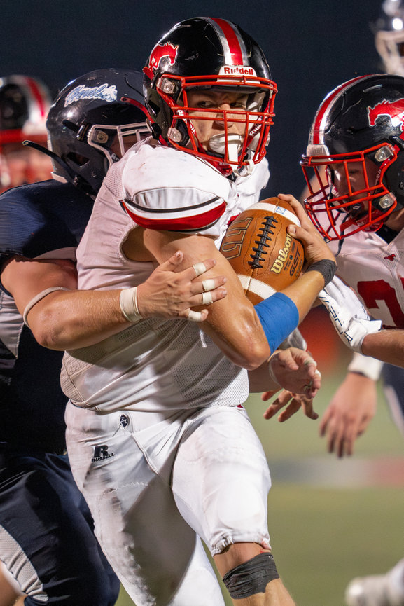 GAME DAY ACTION PORTFOLIO - Nicki Hufford Photography