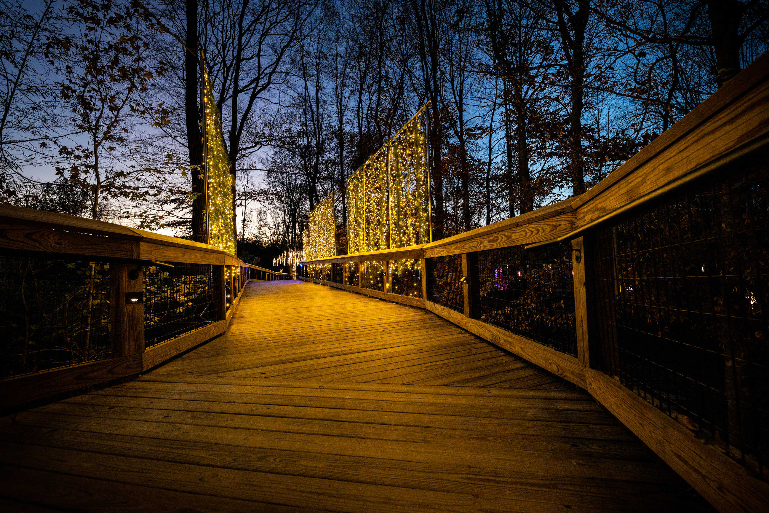 Greensboro Science Center - Winterwonder Lights and New Zip Line Course ...