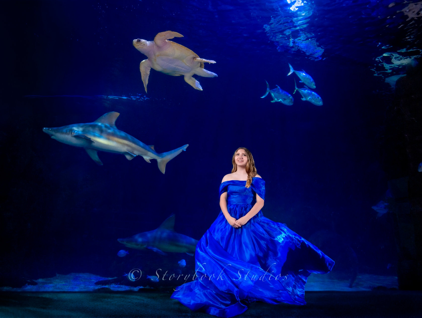 Fearless Spirit Gallery - Storybook Studios