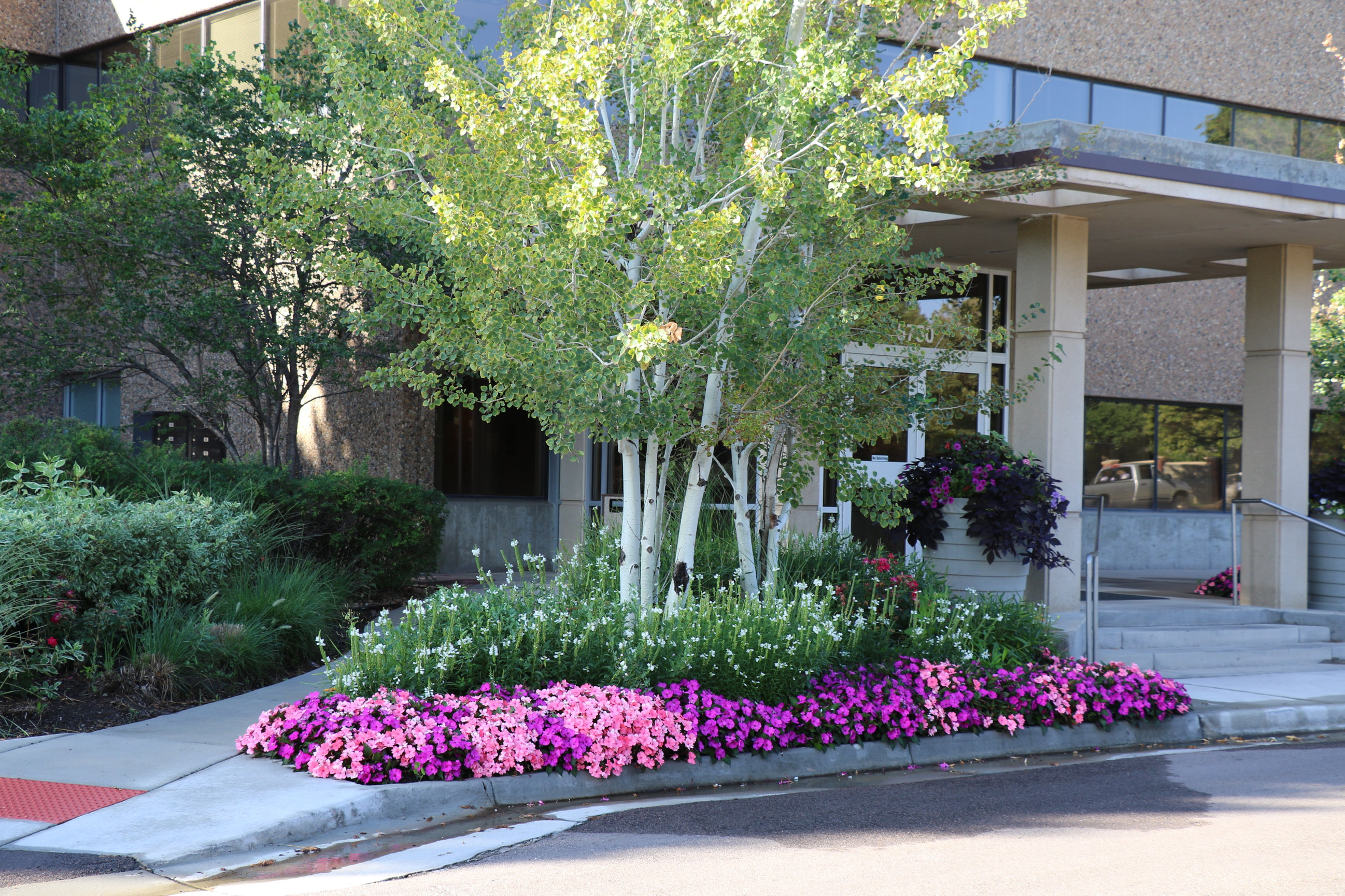 Professional Denver Commercial Property Landscaping Services