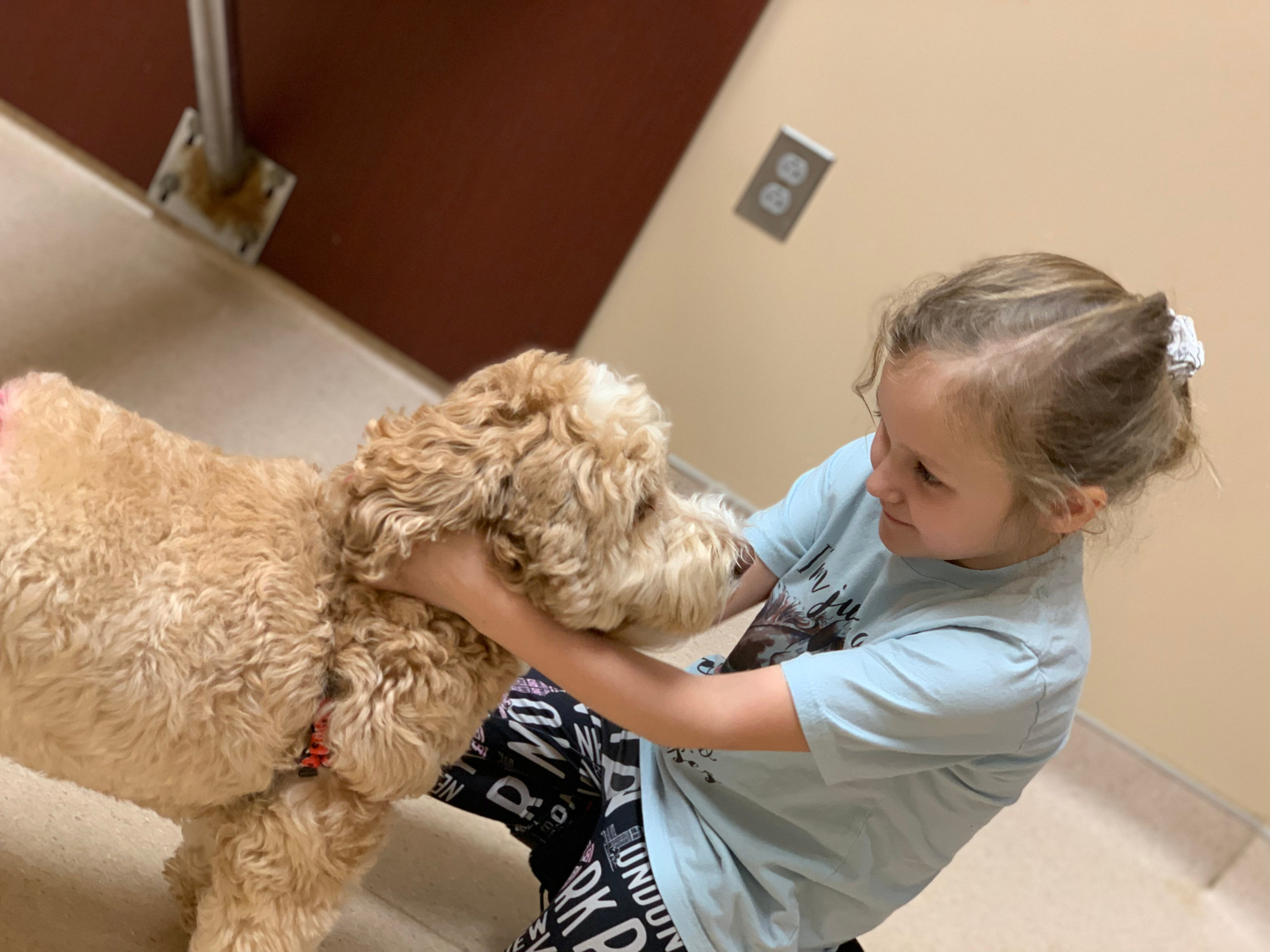 Why Labradoodles Are Ideal for Families with Special Needs Children ...
