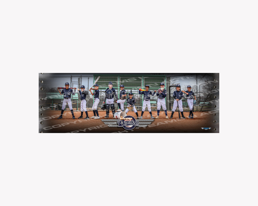 Divine Baseball 2024 - Teams N Action