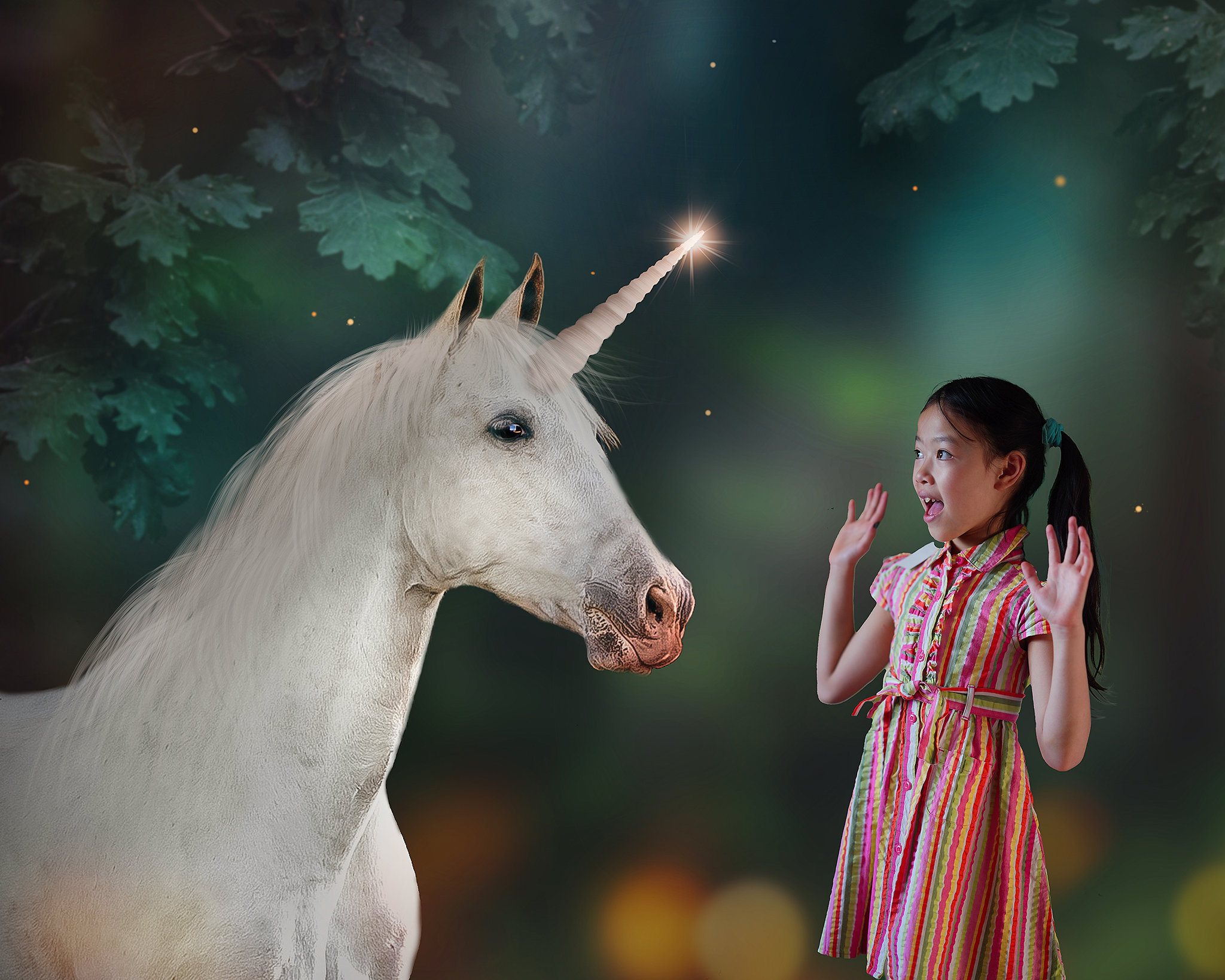 Portrait Composite Photographer