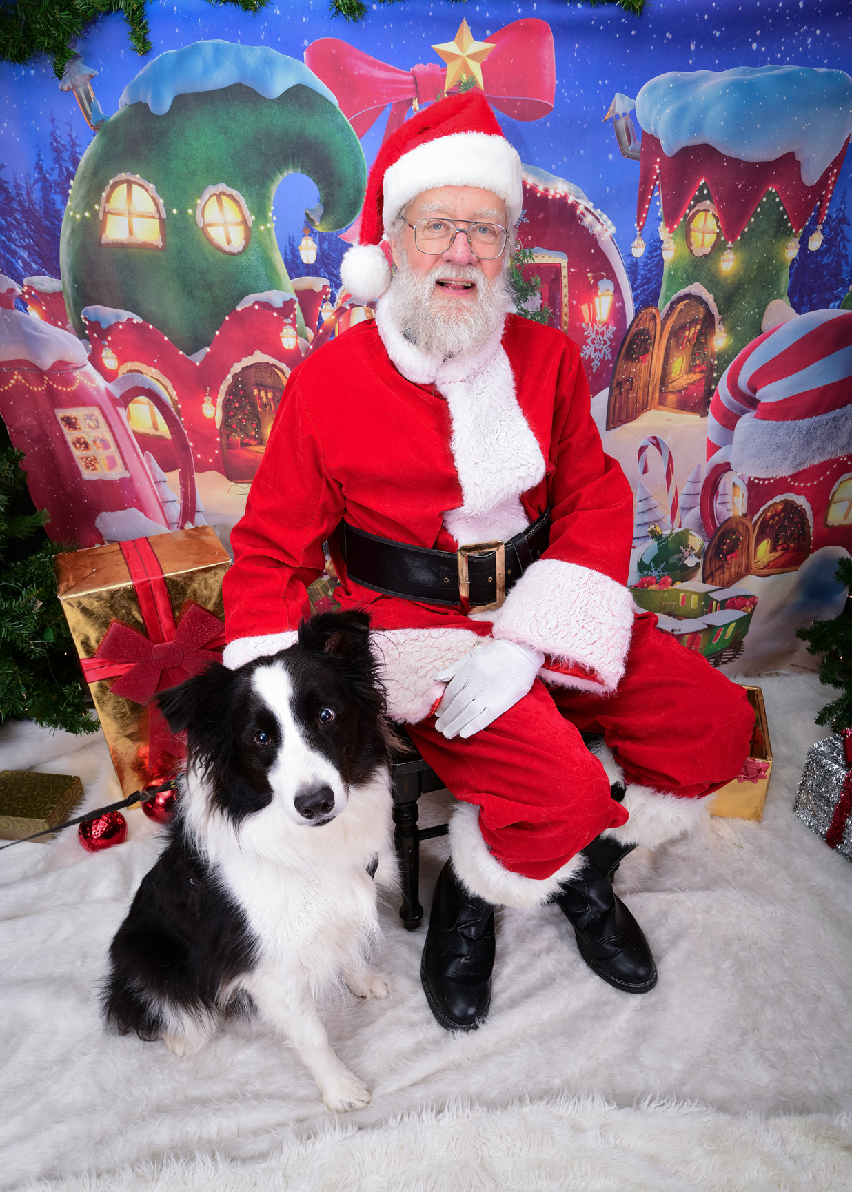 Shoshone Pet Rescue-Santa Photos - Furever Photography
