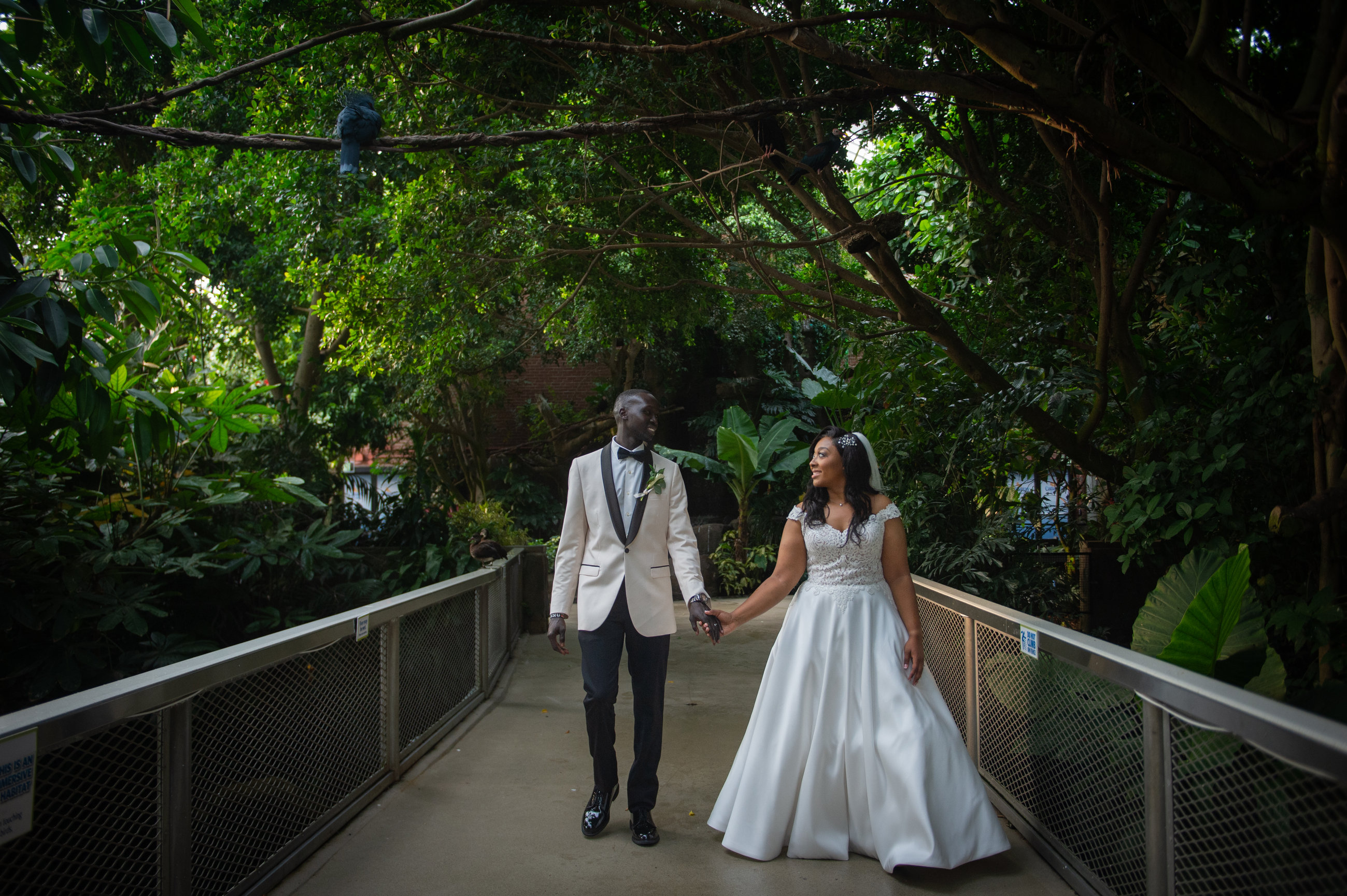 Capturing Love: A Rain-Kissed Celebration at Pittsburgh's Renaissance Hotel