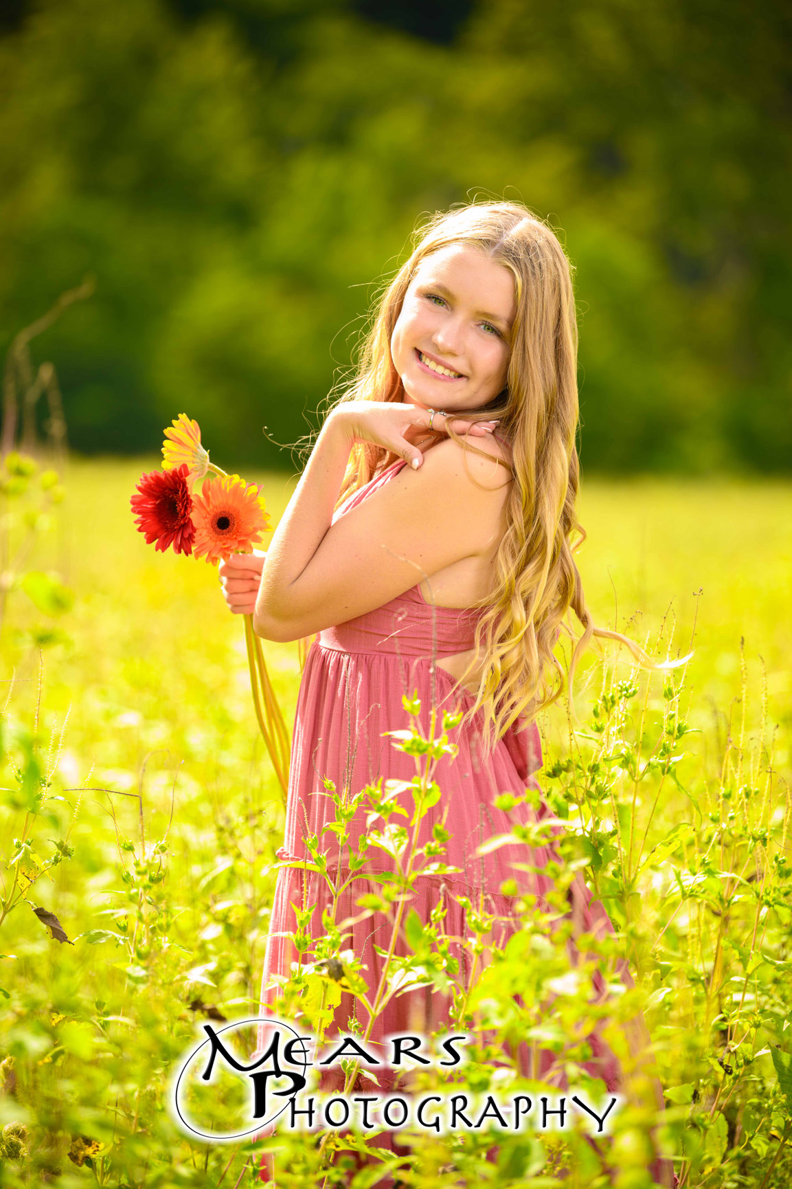 PORTFOLIO - Mears Photography