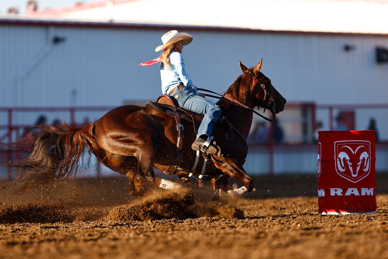 Client Login - Billie-Jean Duff Photography