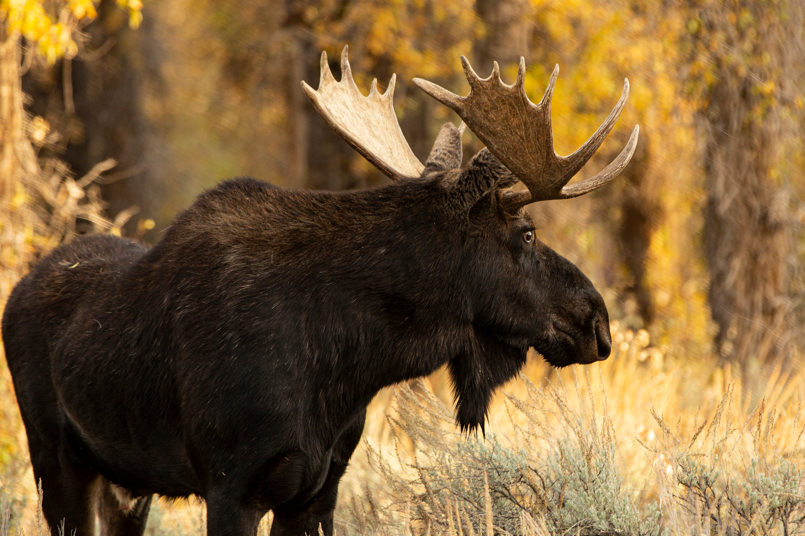 Nature Exposed Tours