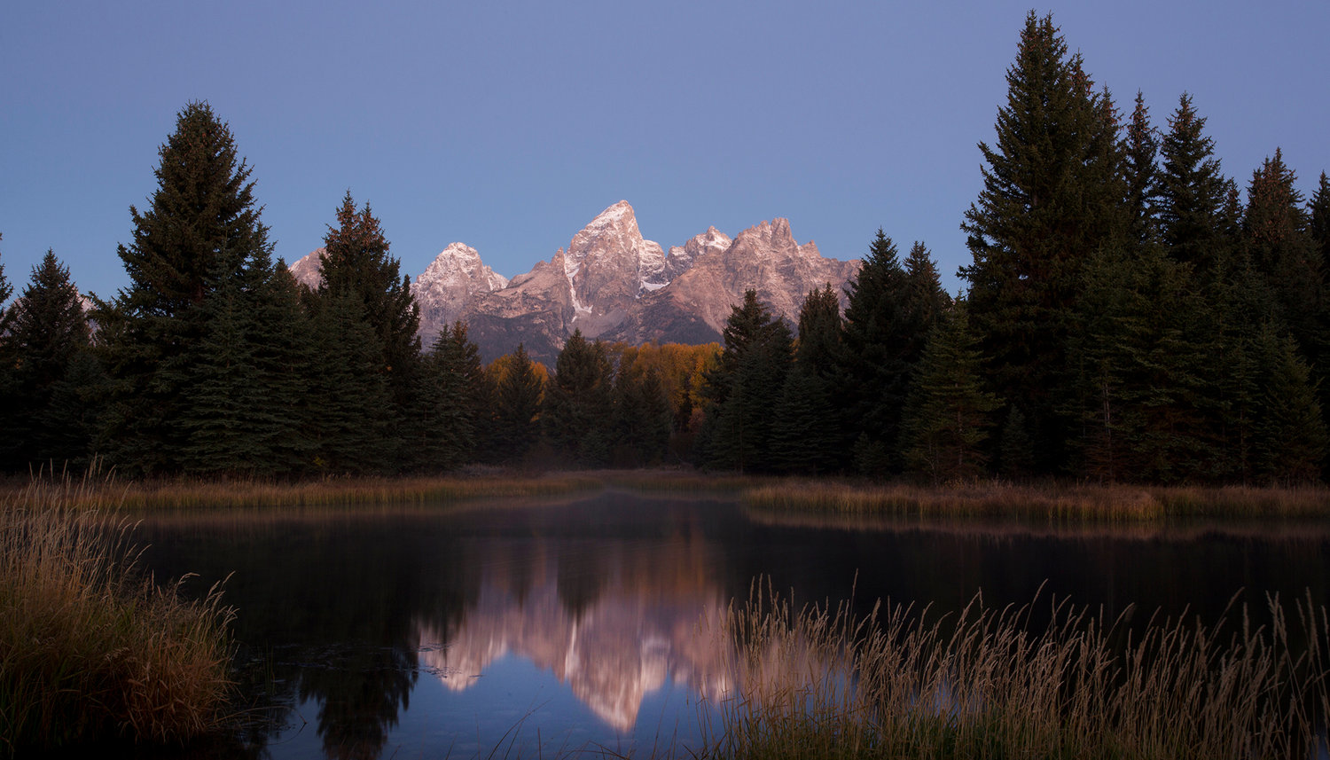 Yellowstone & Grand Tetons Spring - Nature Exposed Tours