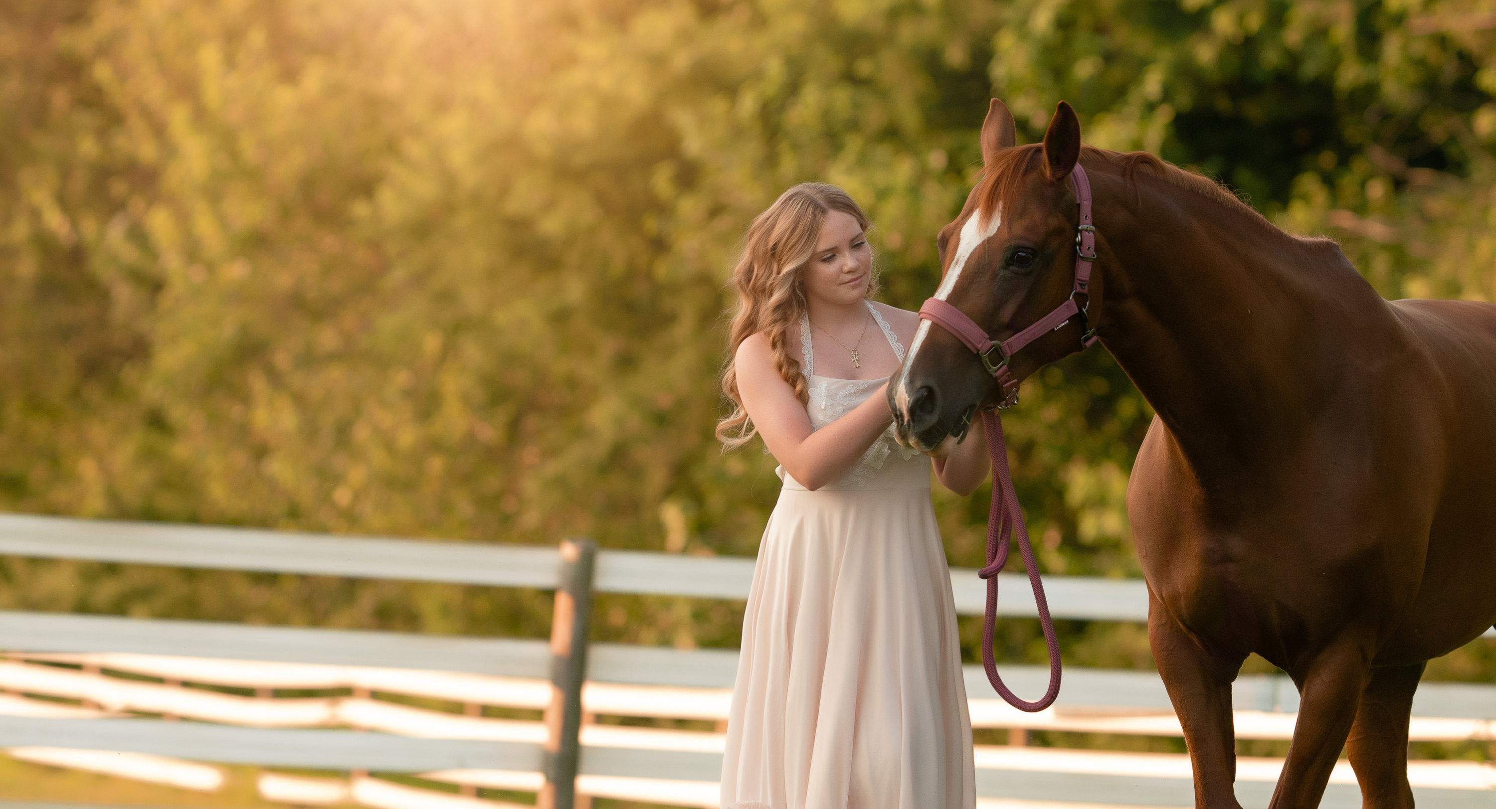 Westminster Portrait Photographer | Jennifer DiDio Photography
