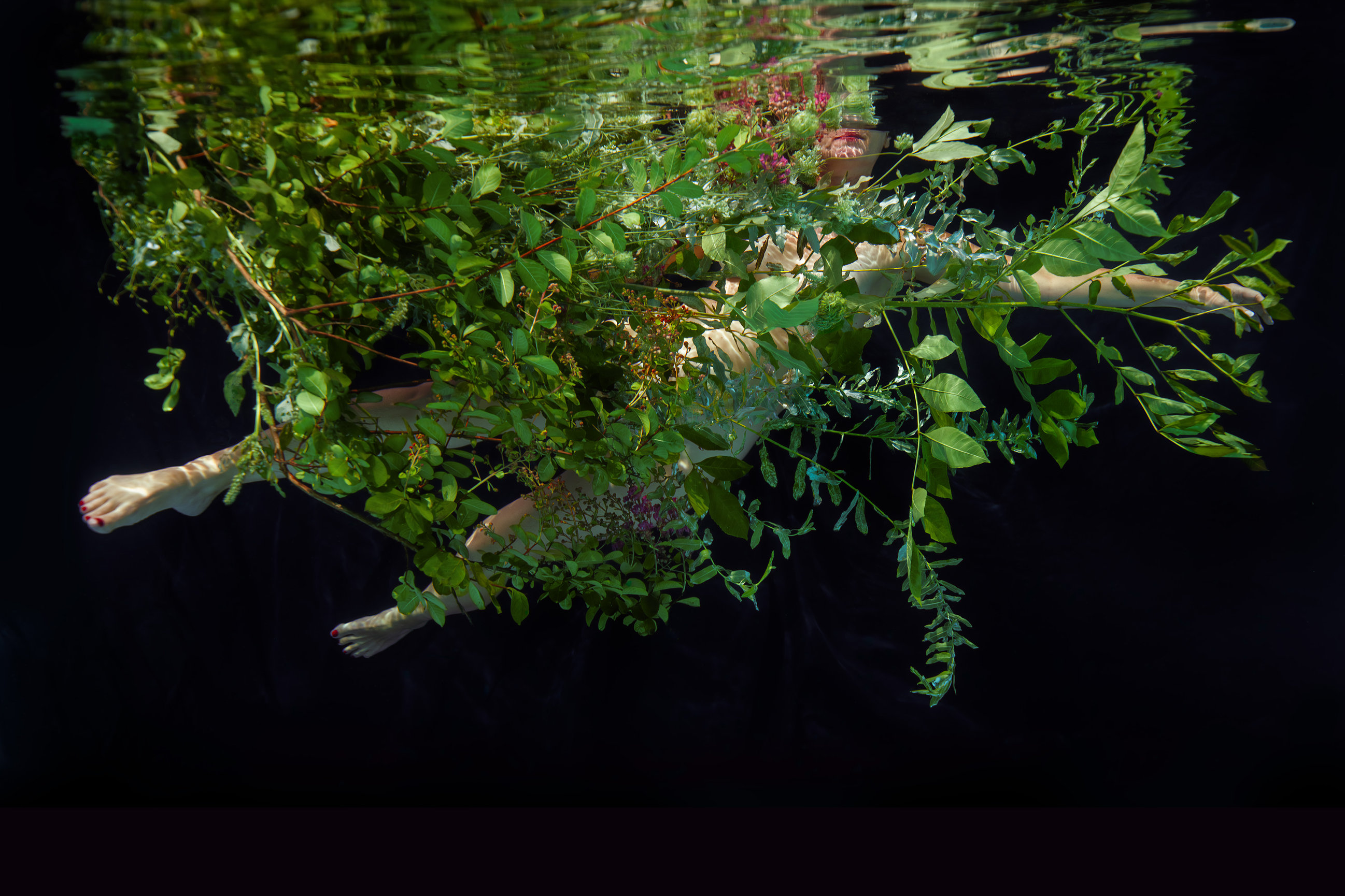 The Emotional Depths of Underwater Photography: An Artistic Exploration ...