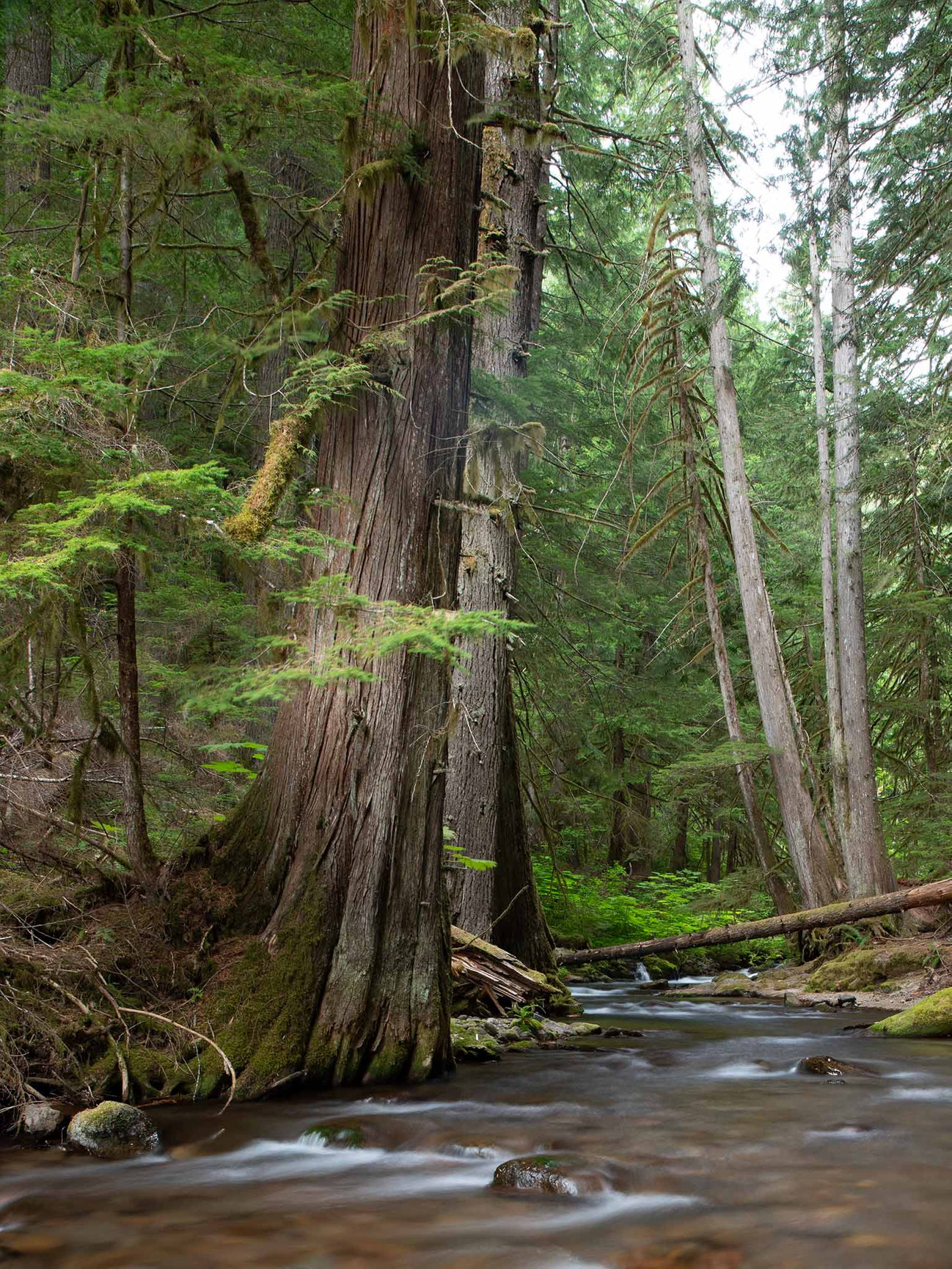 CREATING DEPTH - Rob Strain Fine Art Photography & Workshops