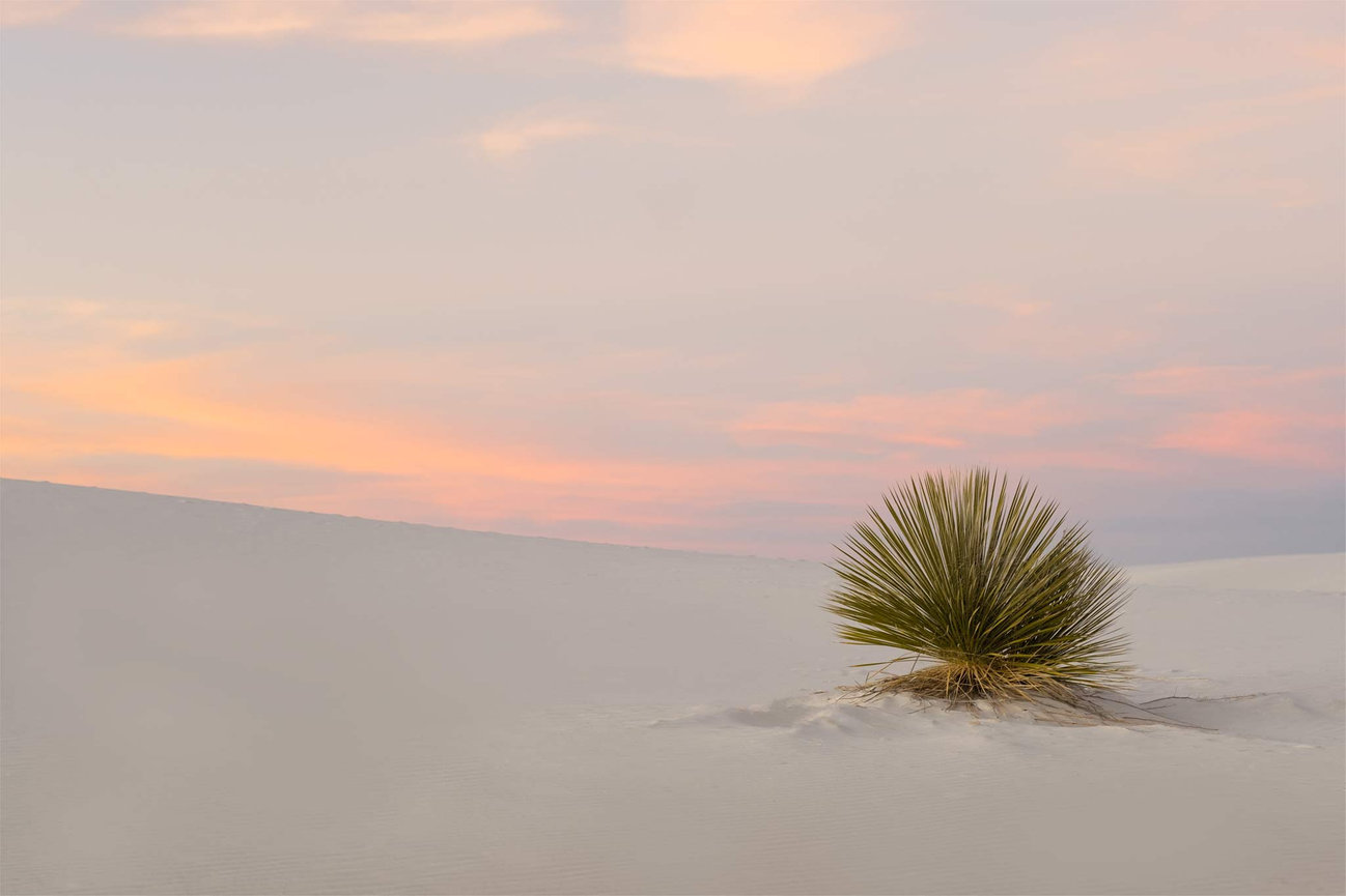 KEEP IT SIMPLE - Rob Strain Fine Art Photography & Workshops