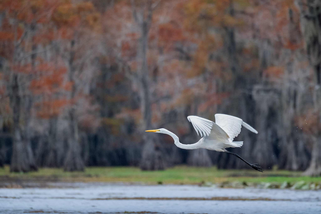 BREAK THE RULES - Rob Strain Fine Art Photography & Workshops