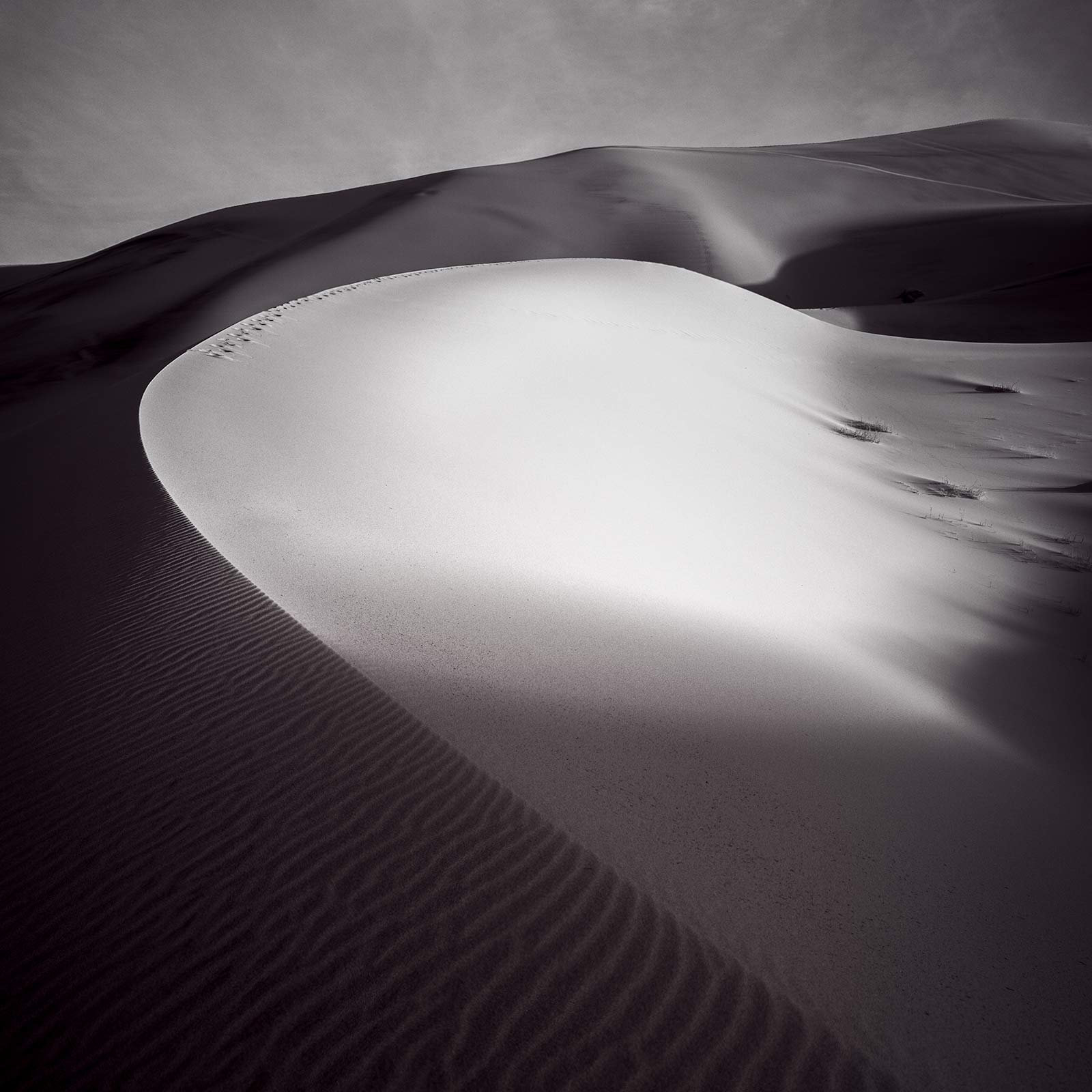 Sand Tracks - Rob Strain