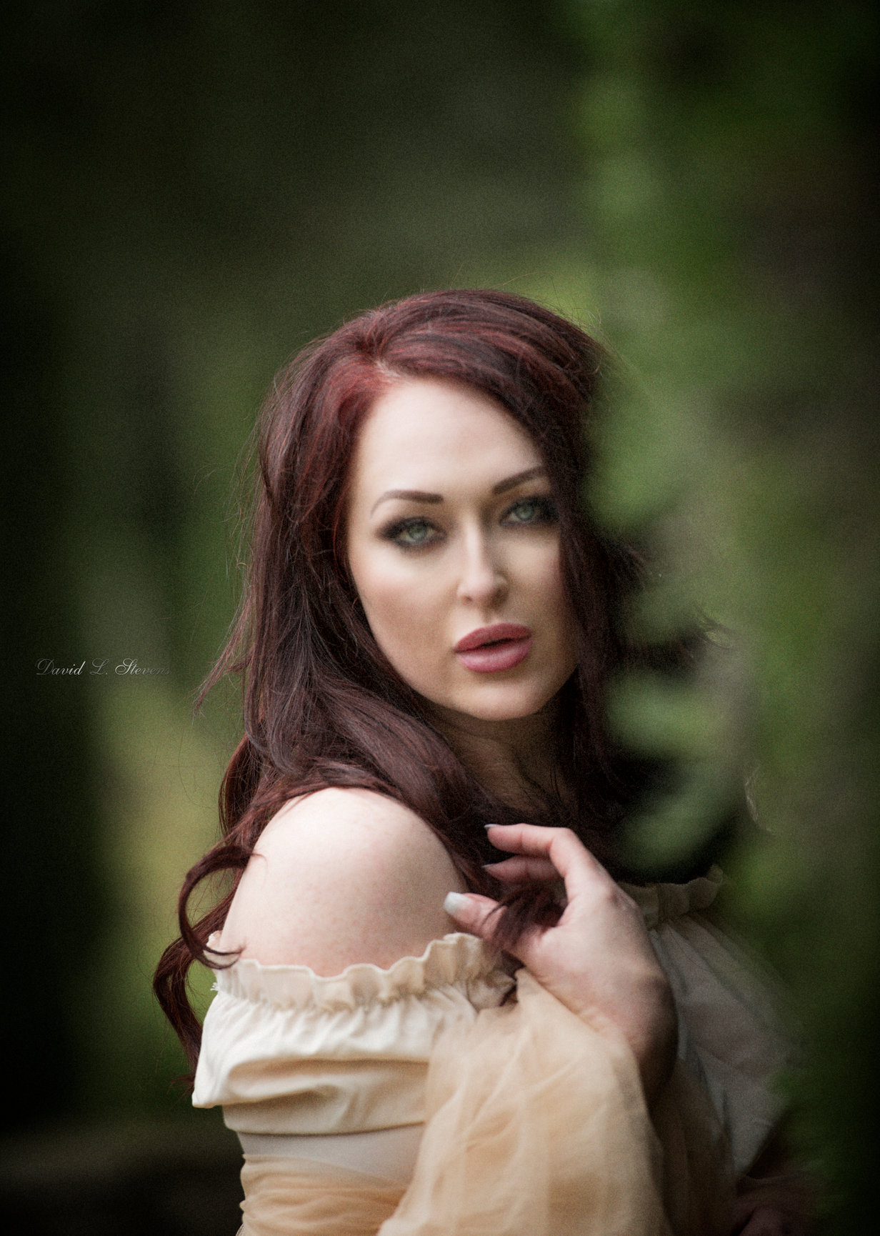 FINE ART BOUDOIR - David L. Stevens Photography