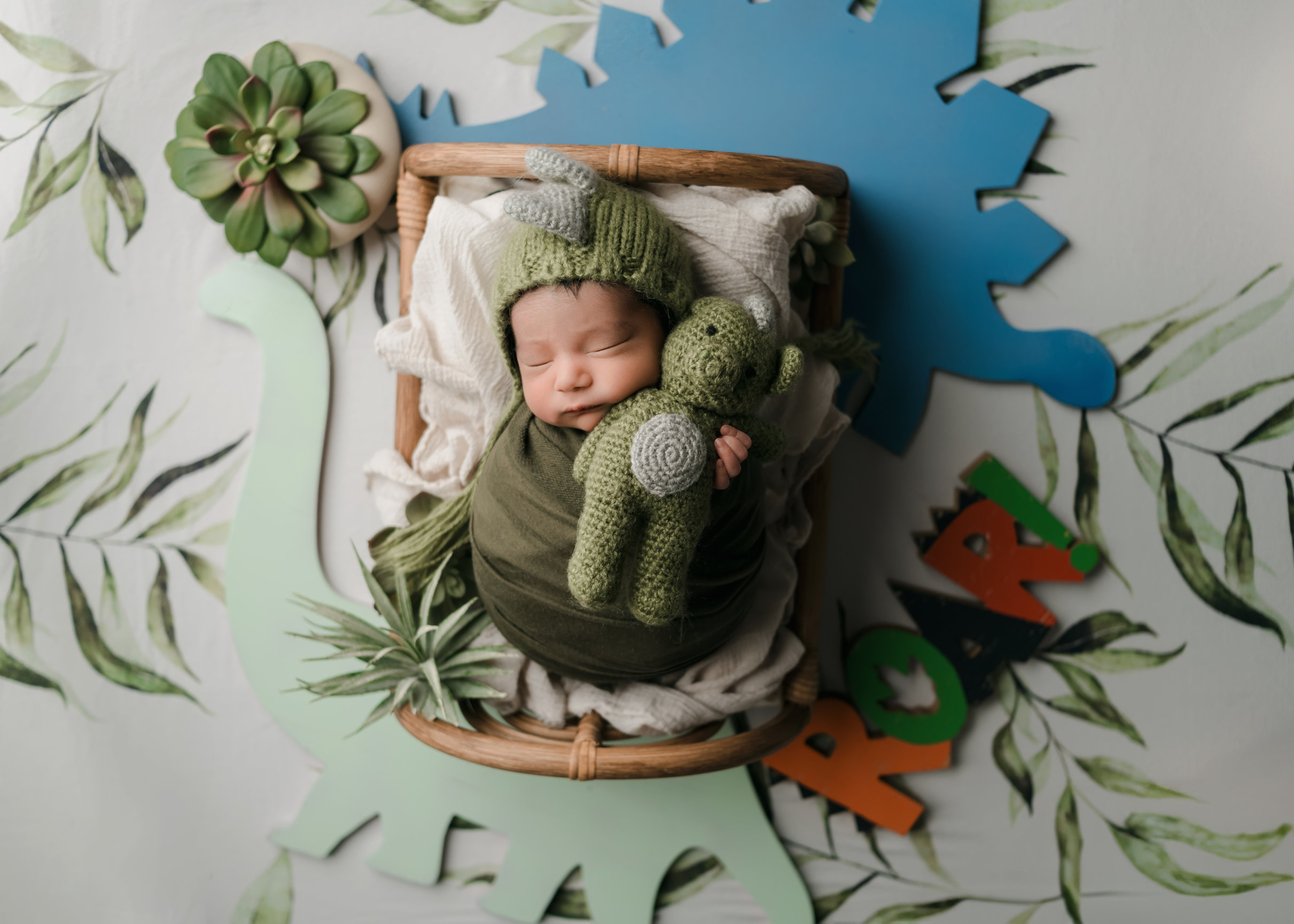 Newborn Session - Bolt Photography