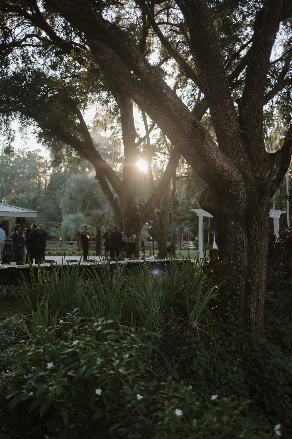 Whispering Meadows Estate