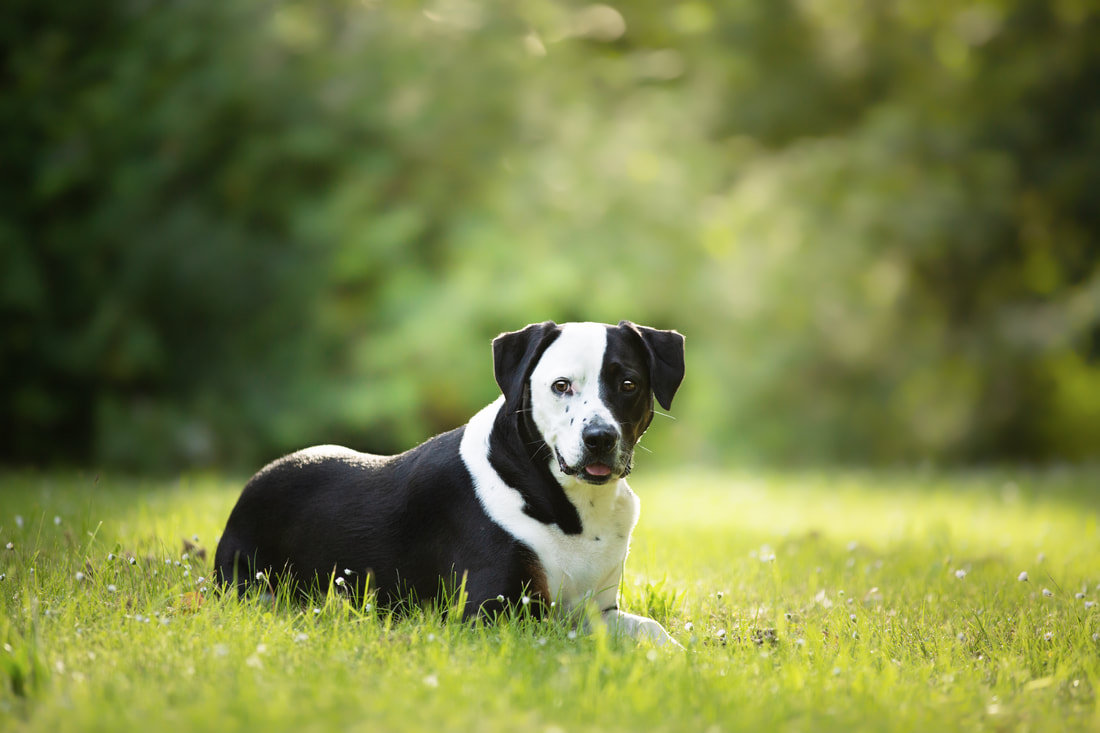 Contest Winner - DominiQue Matthews - Kim Yanick Portraits