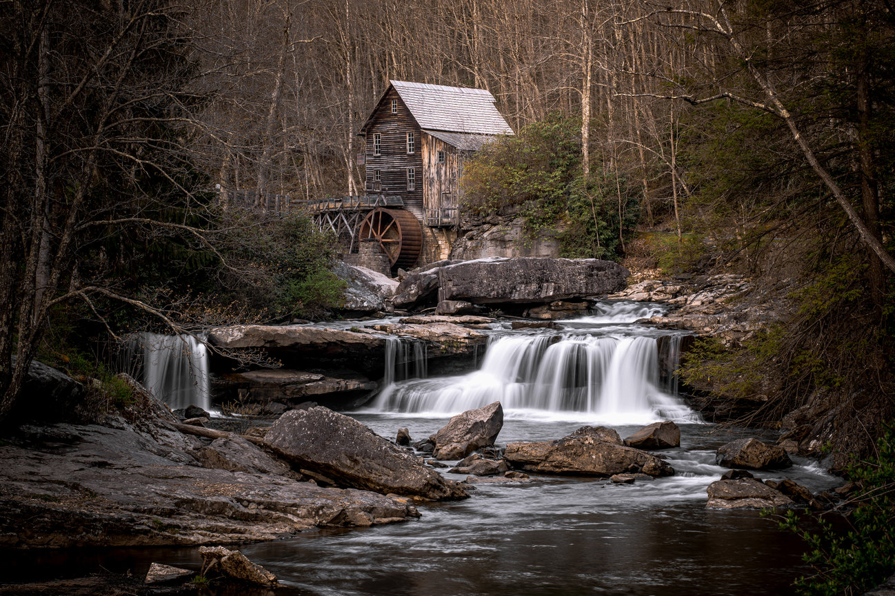 Professor Hines | Adobe Lightroom 2021 Splash Screen Artist