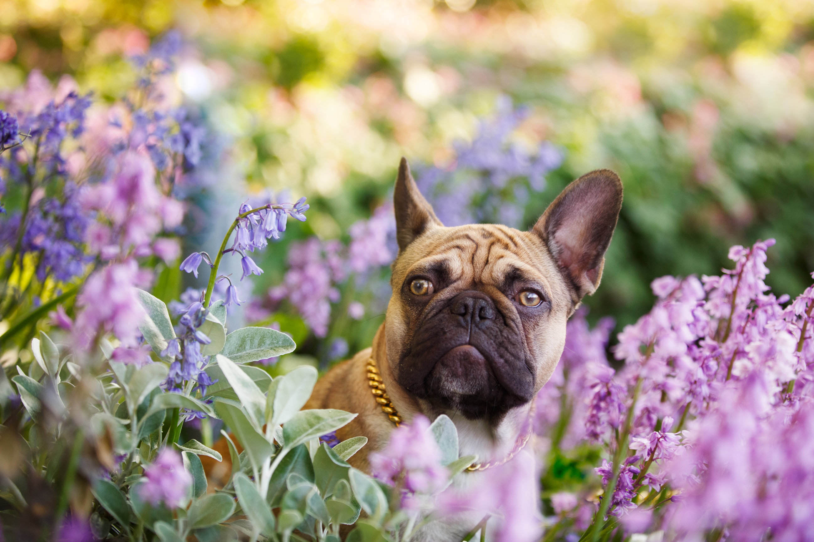 Kim Yanick Portraits