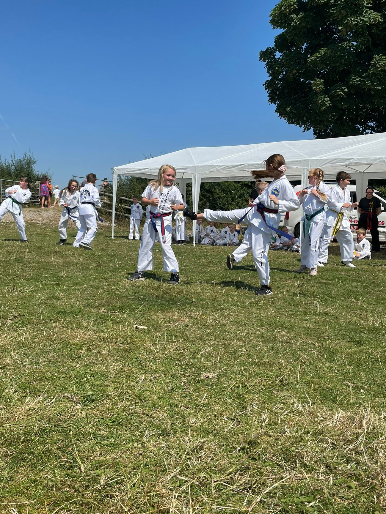 Display at Pencoed Farm - Taekwon-do-Wales