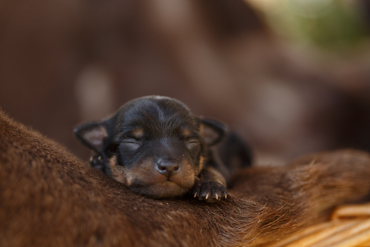 blog - Kim Yanick Portraits