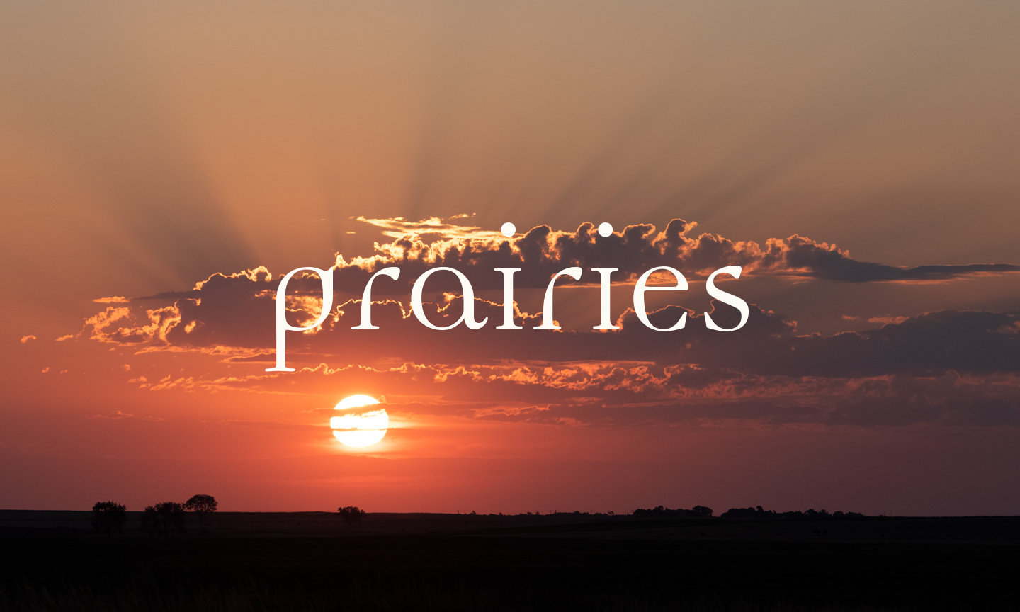 Prairies - Chris Mathan Sporting Dogs