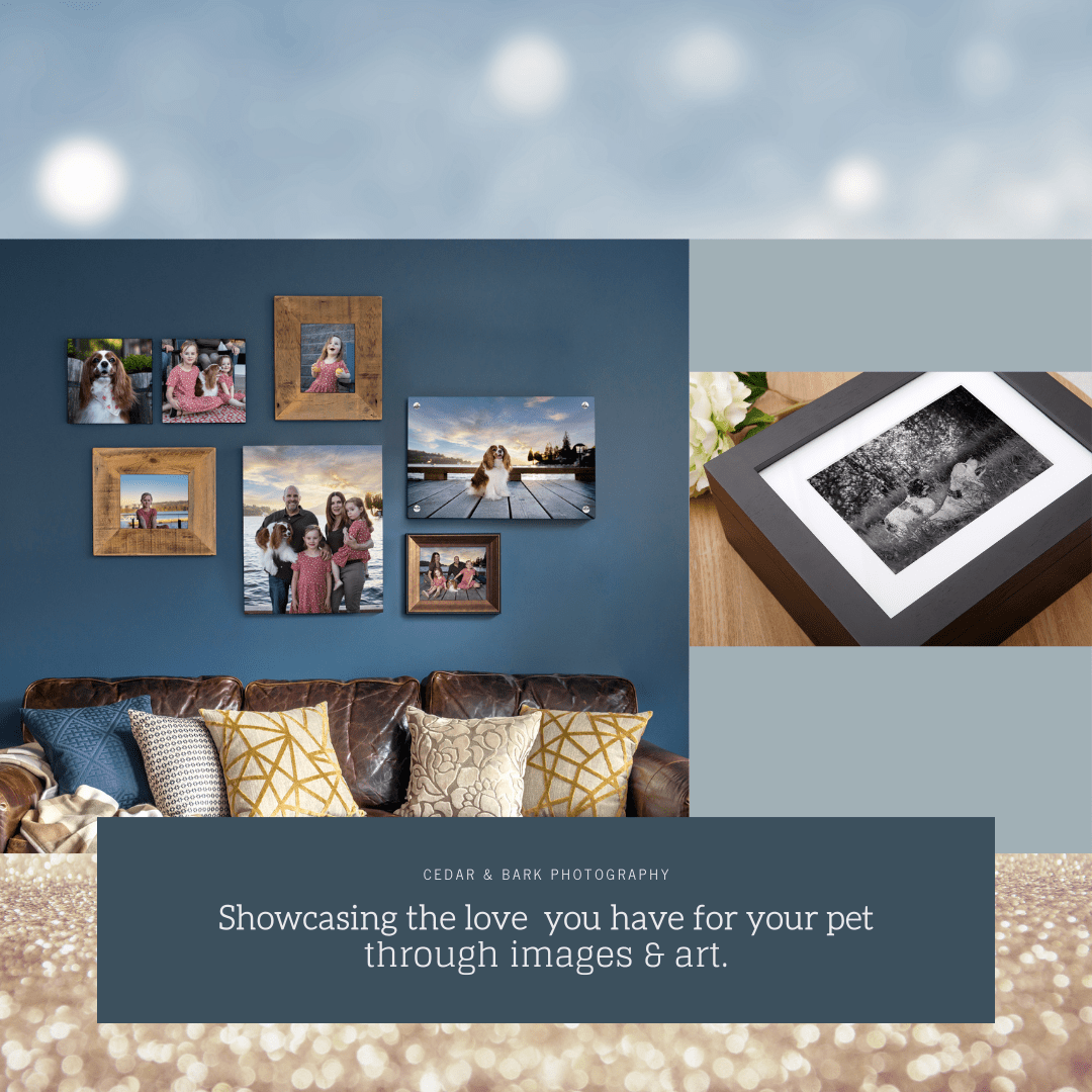 4 reasons Why it’s important to print your pet photos | Cedar and bark ...