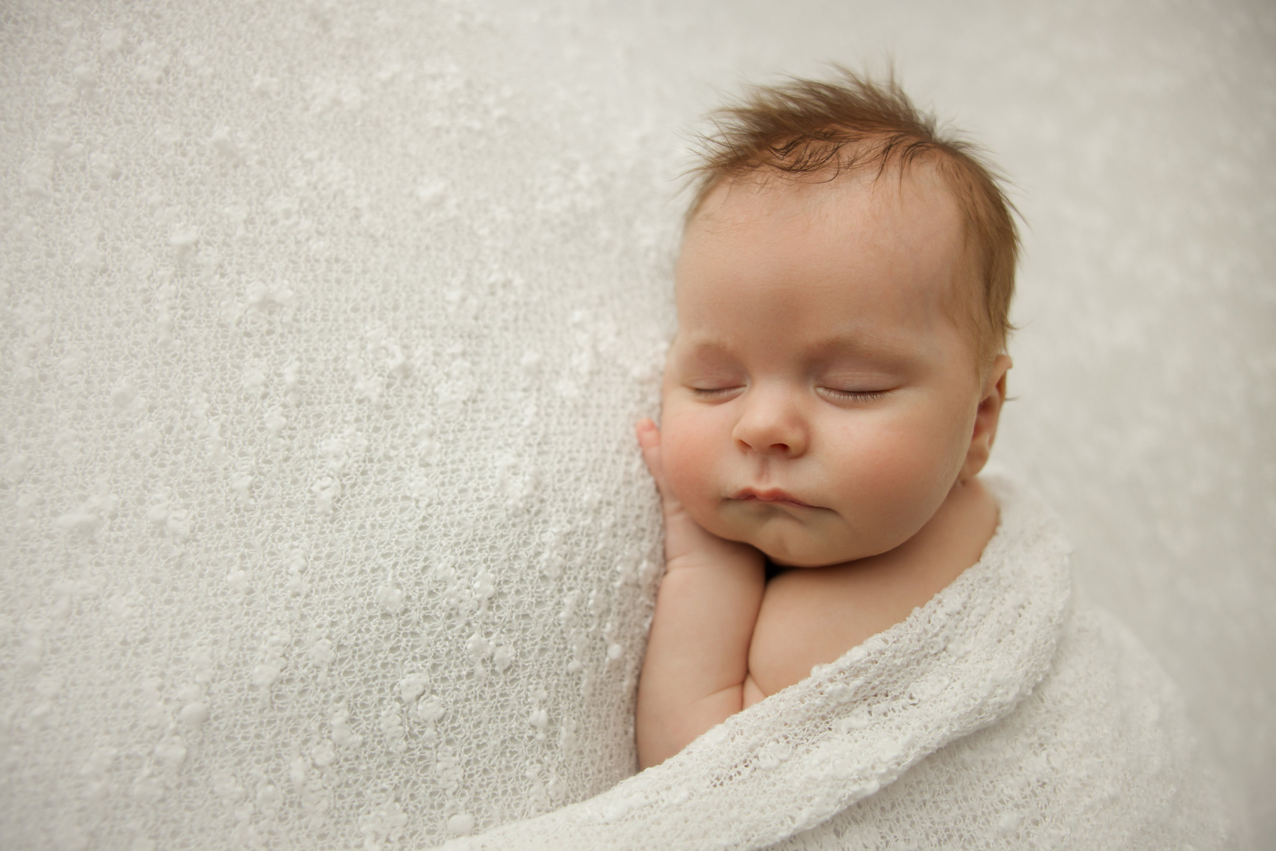 home - Amanda Brehm Photography