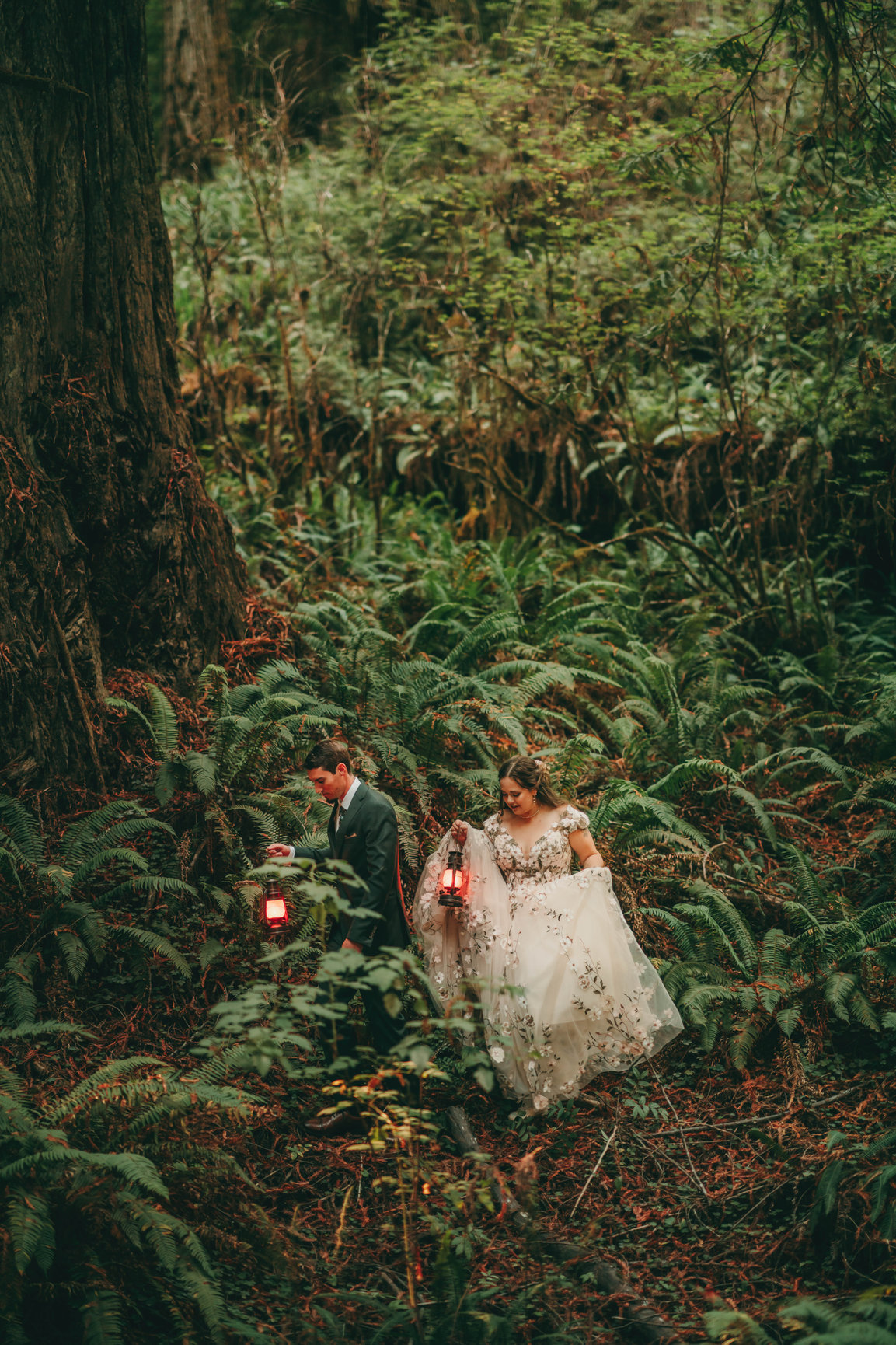 Permit Process for your elopement in the Jedediah Smith Redwoods ...