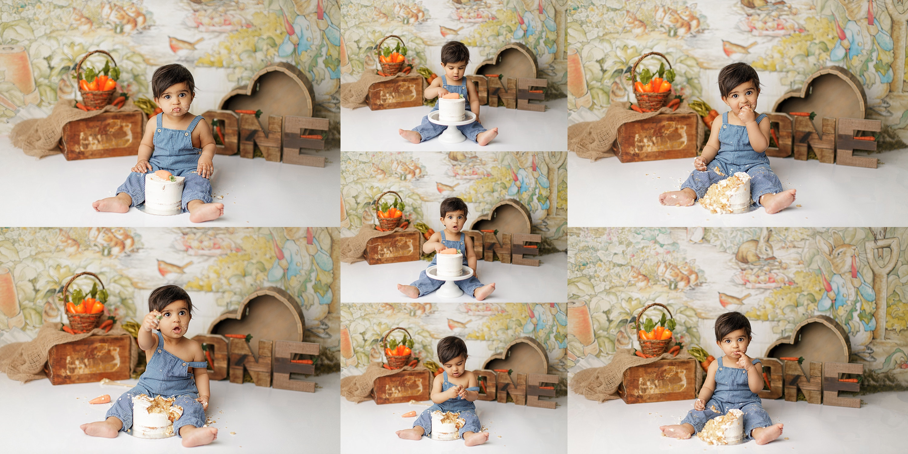 Family & Newborn Photographer Calgary • Leo's Peter Rabbit Inspired ...
