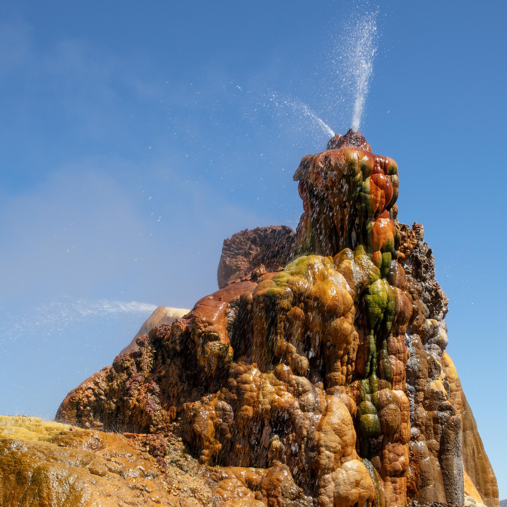 Nevada's Fly Geyser - Jim Babson Photography