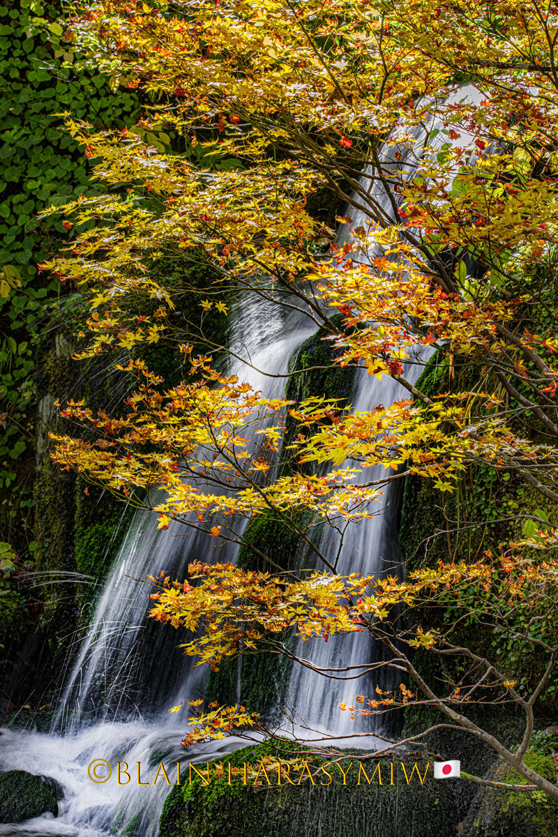 Oct. 2023 - Essence of Autumn - Japan Photo Tour - Blain Harasymiw ...
