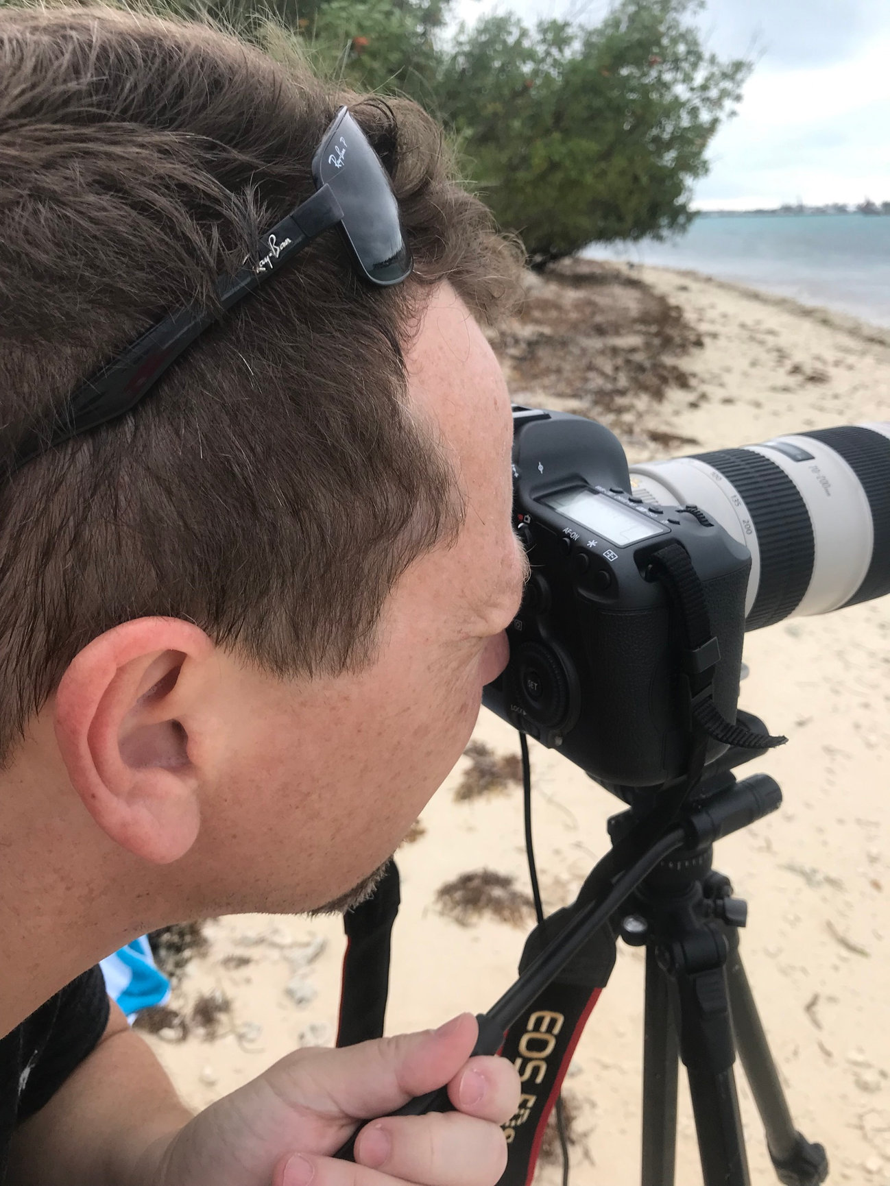 Photo Artist Michael Procaccini | Art On Duval Key West