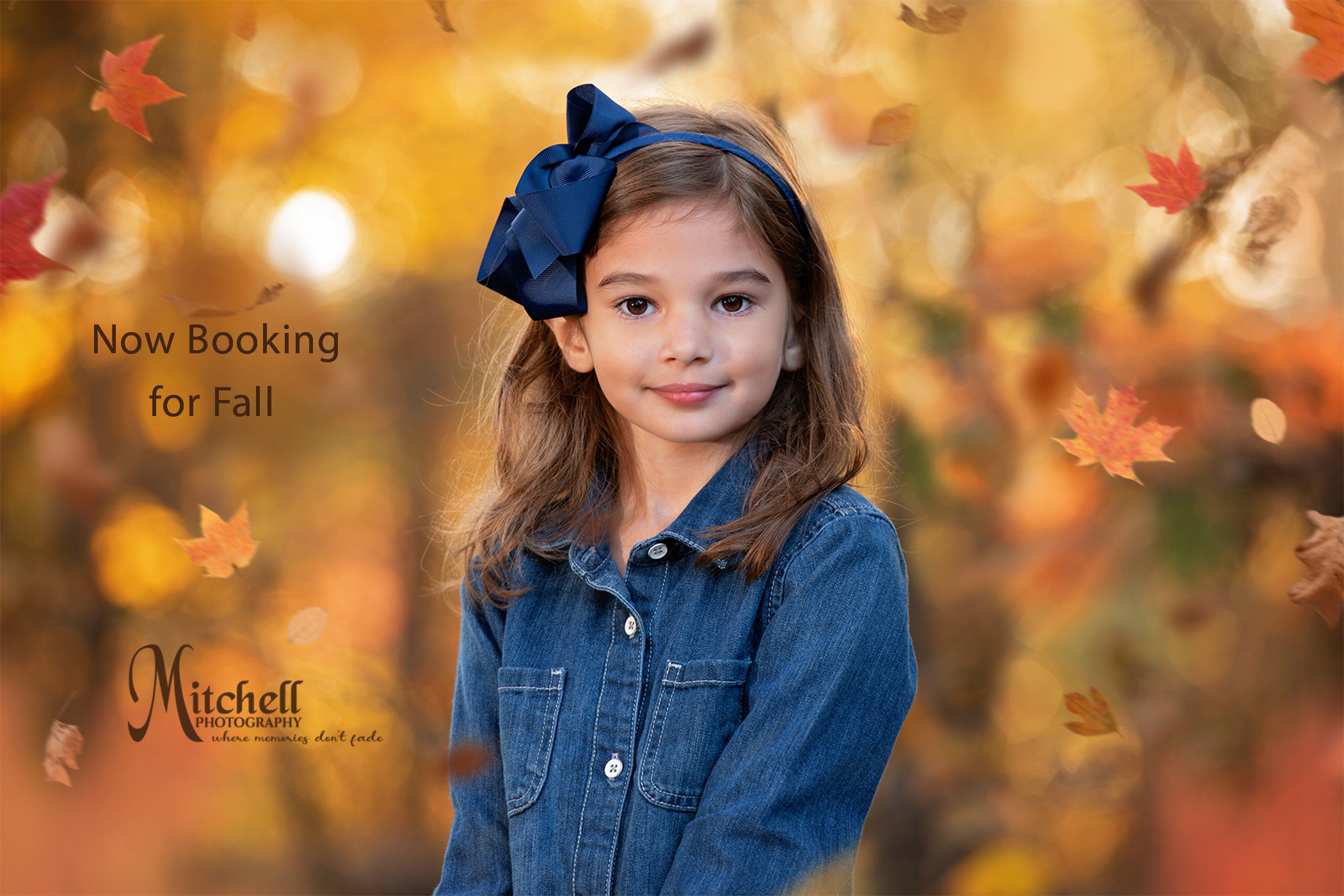 home - Mitchell Photography