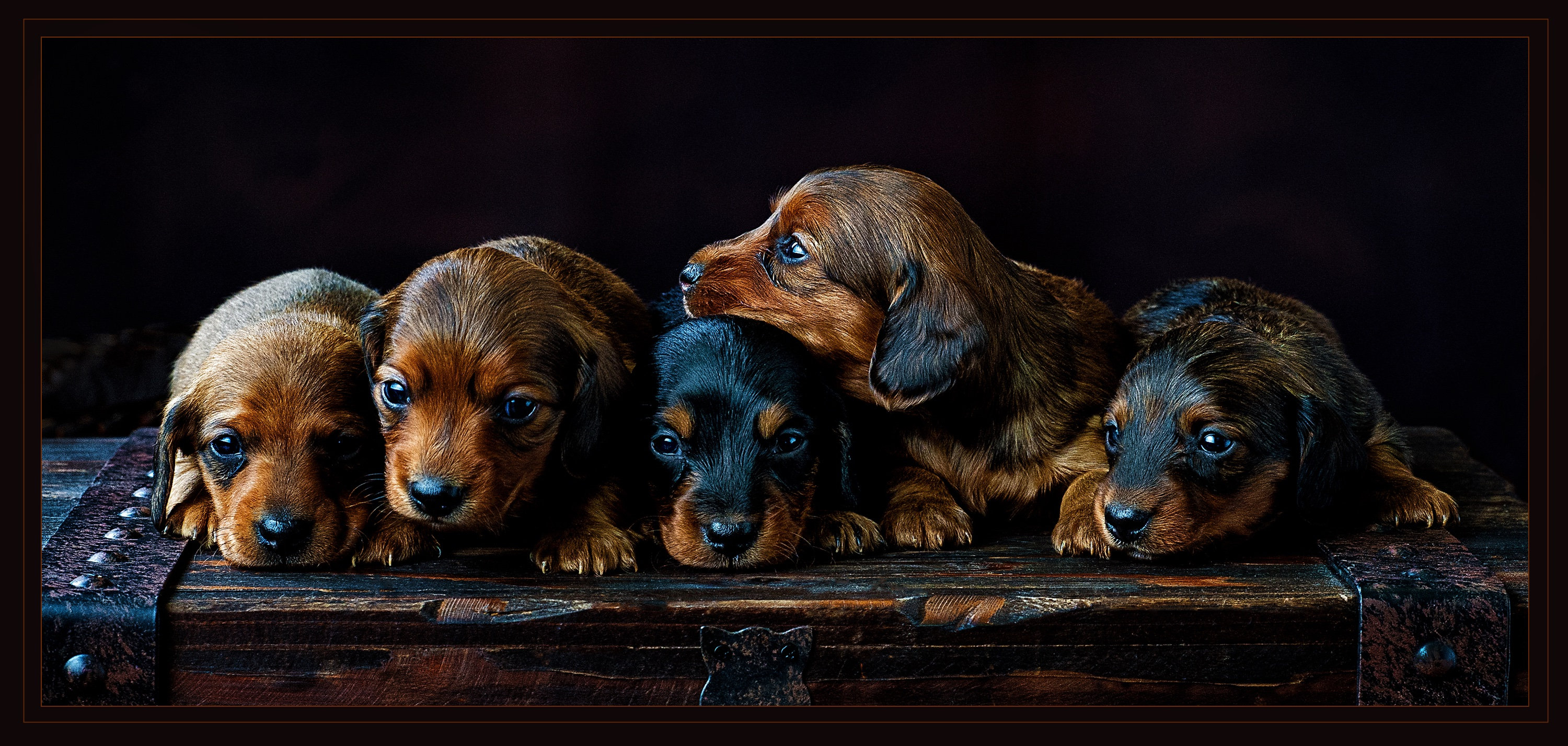 AWARD WINNING AND PUBLISHED IMAGES - Chapelo Photography