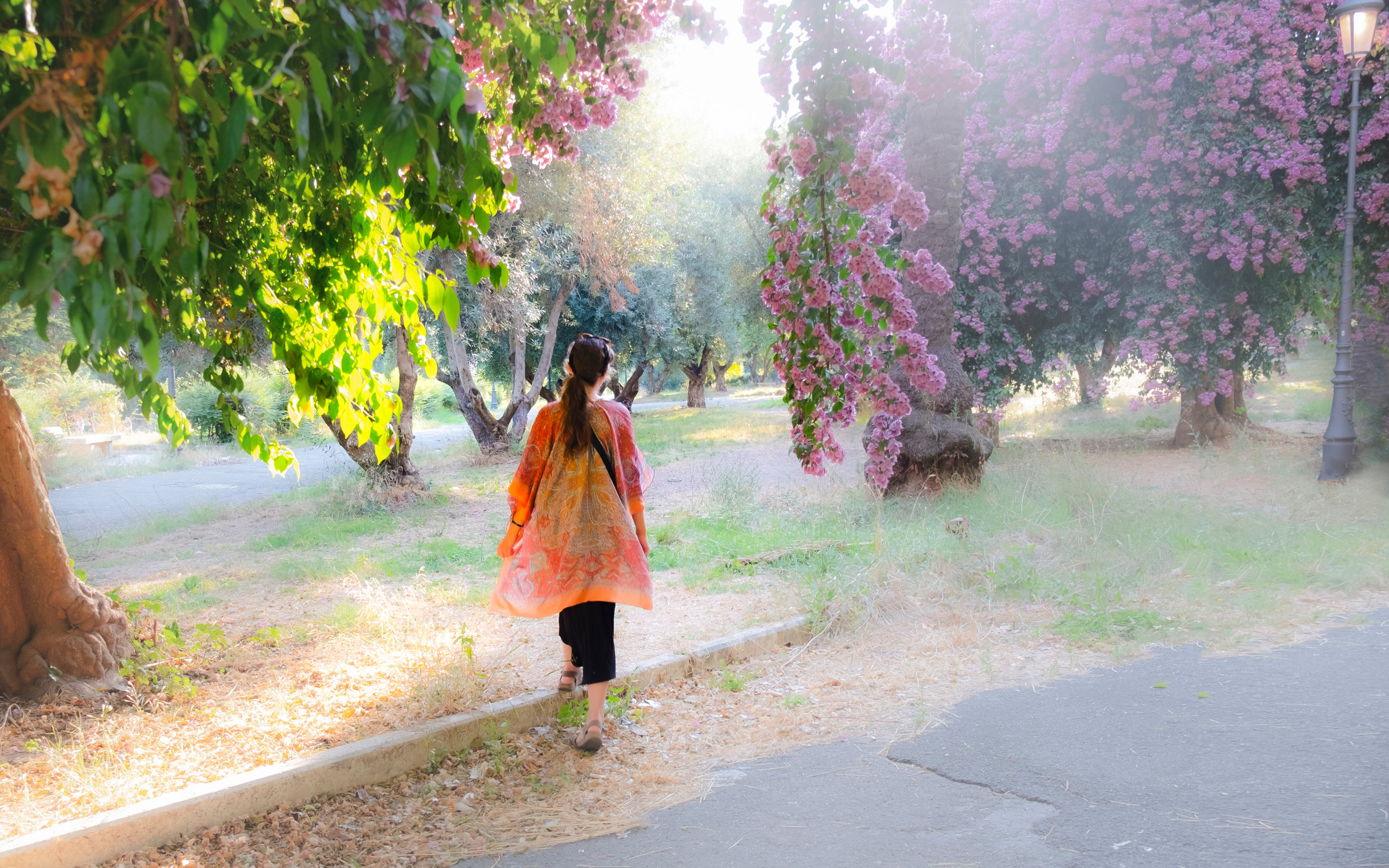 Welcome - J Ferber Photography / Sideline Photography Studio