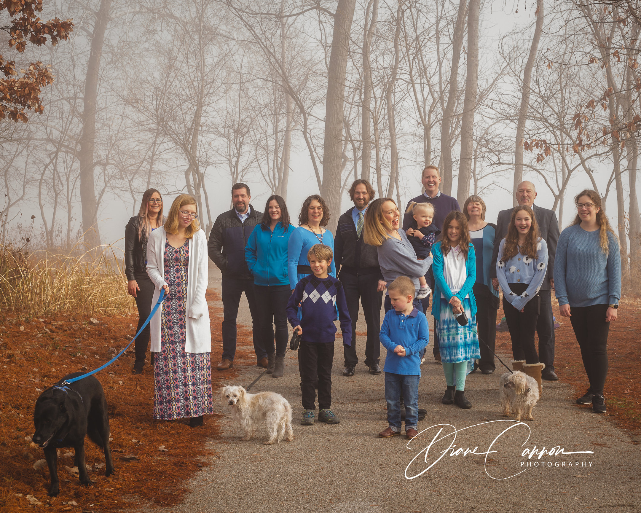 home - Diane Cannon Photography