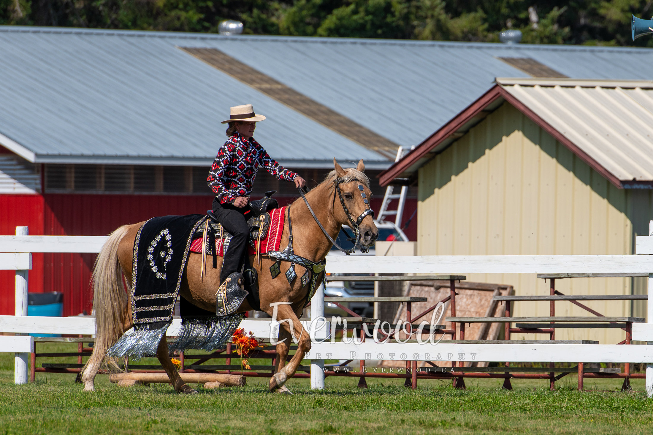 Hymer's Fair - Everwood Photography