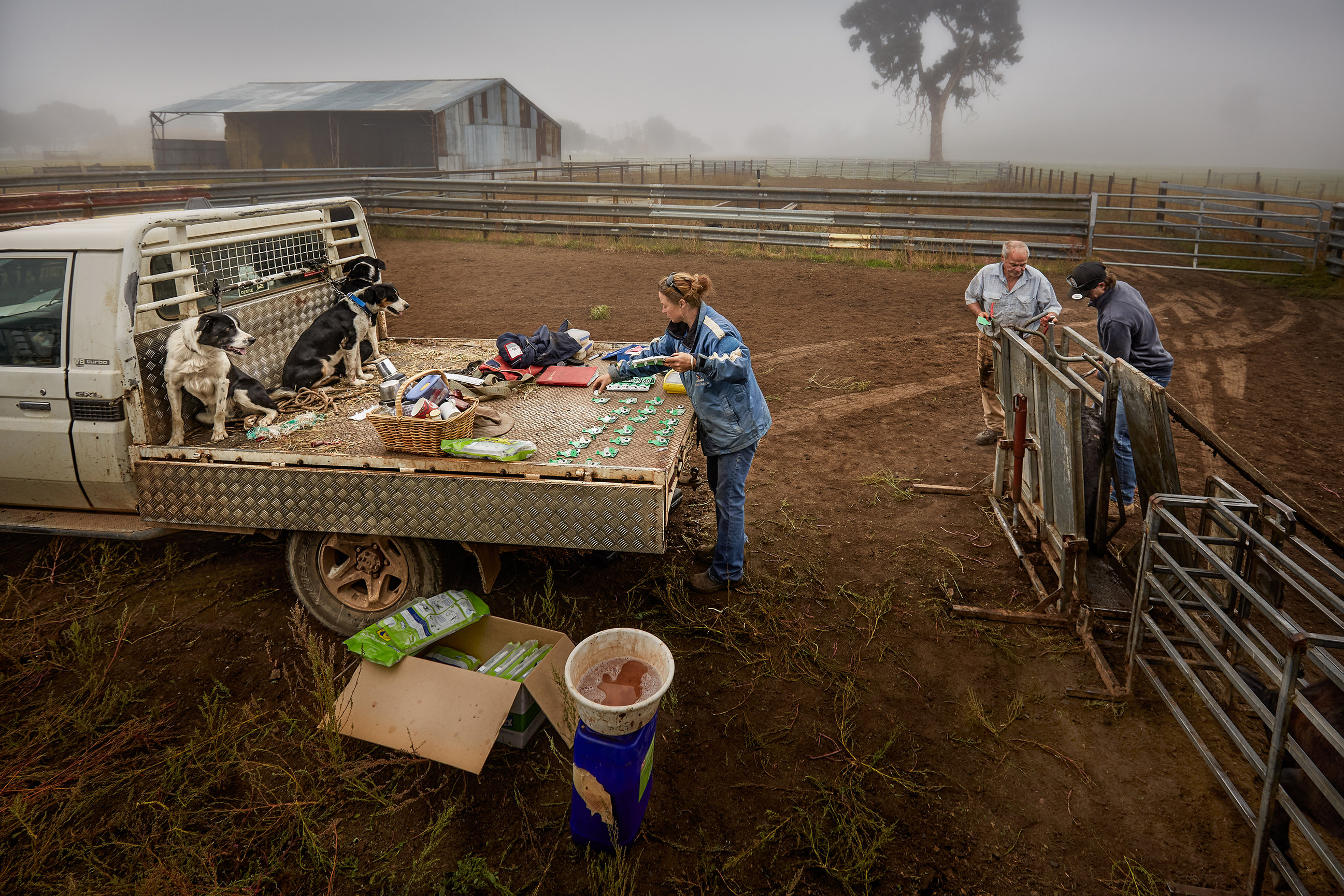 Mansfield Farm Project - Online Photography Exhibition