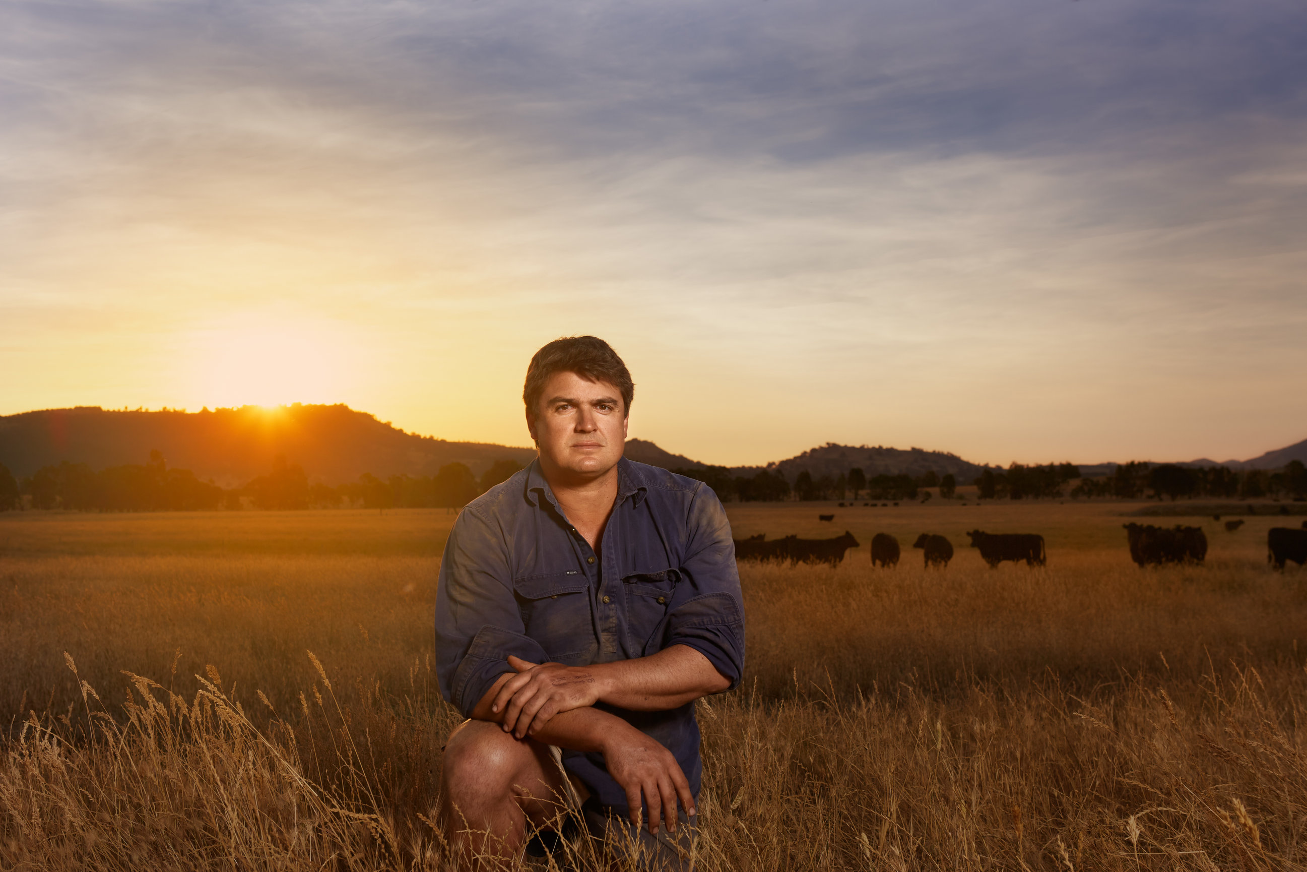 Top 5 Tips - To get the best from your farm photography