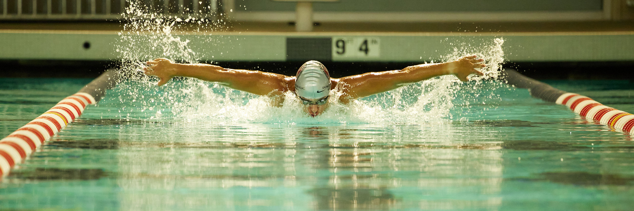 NFocus Photography - nfocus photography