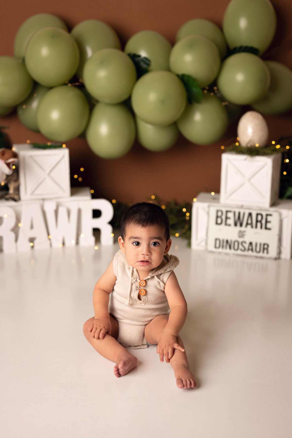 A Dino Cake Smash Session {Utah Cake Smash Photographer} - kristen ...