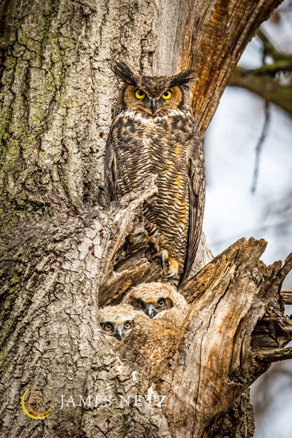 HOME - James Netz Photography