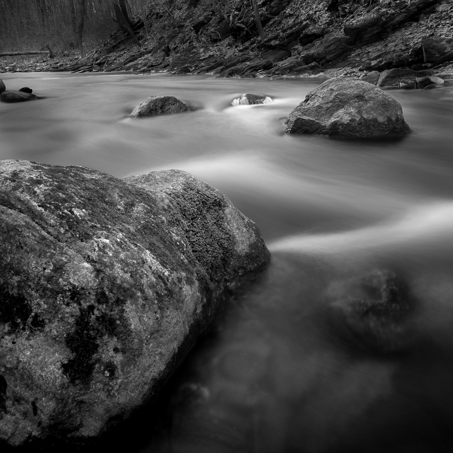 BLACK & WHITE - Rick Tango Photographer