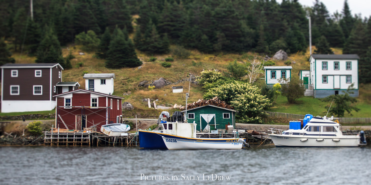 Available Island Wide