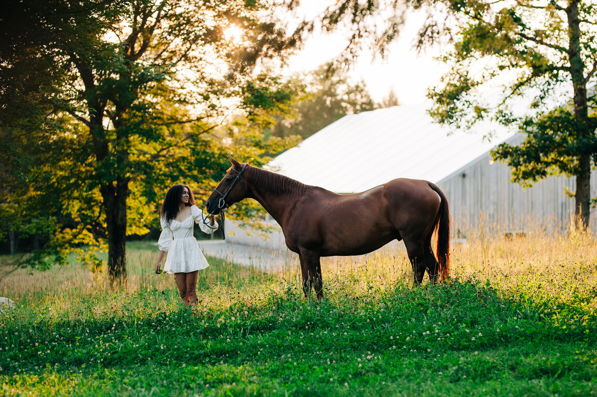 Lucia's Senior Photos at Dog Day Farm Pownal